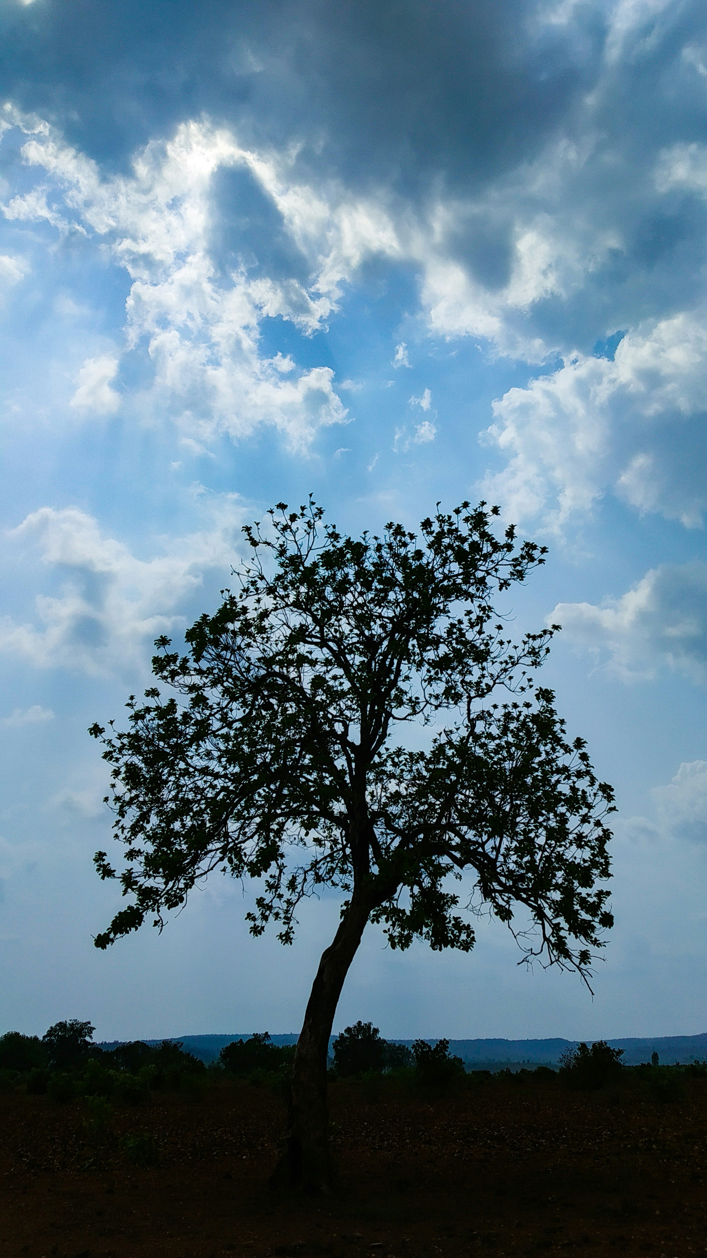 Louis Daniel (@lld_2093) | Unsplash Photo Community