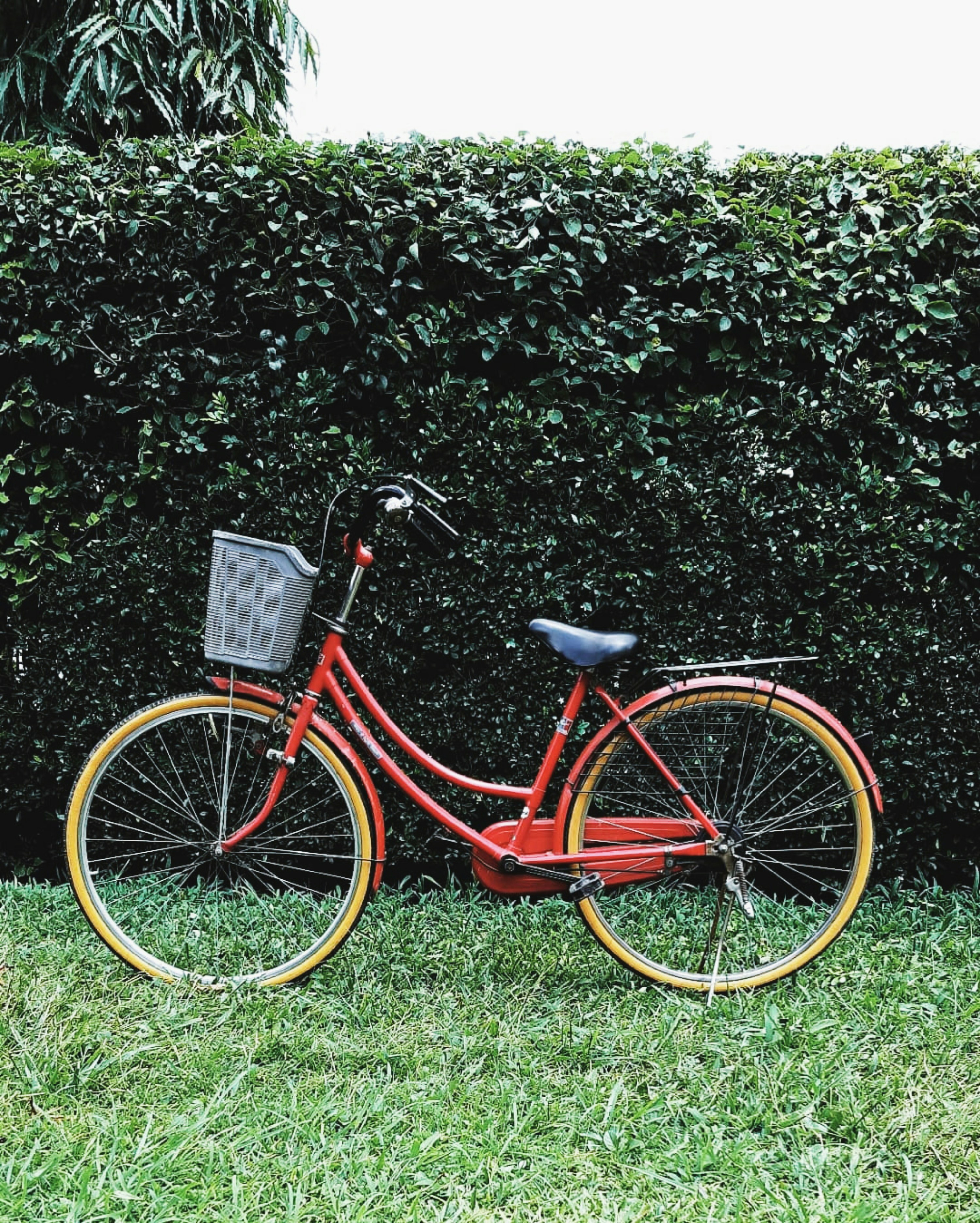 Red cruiser bike photo – Free Kaduna Image on Unsplash