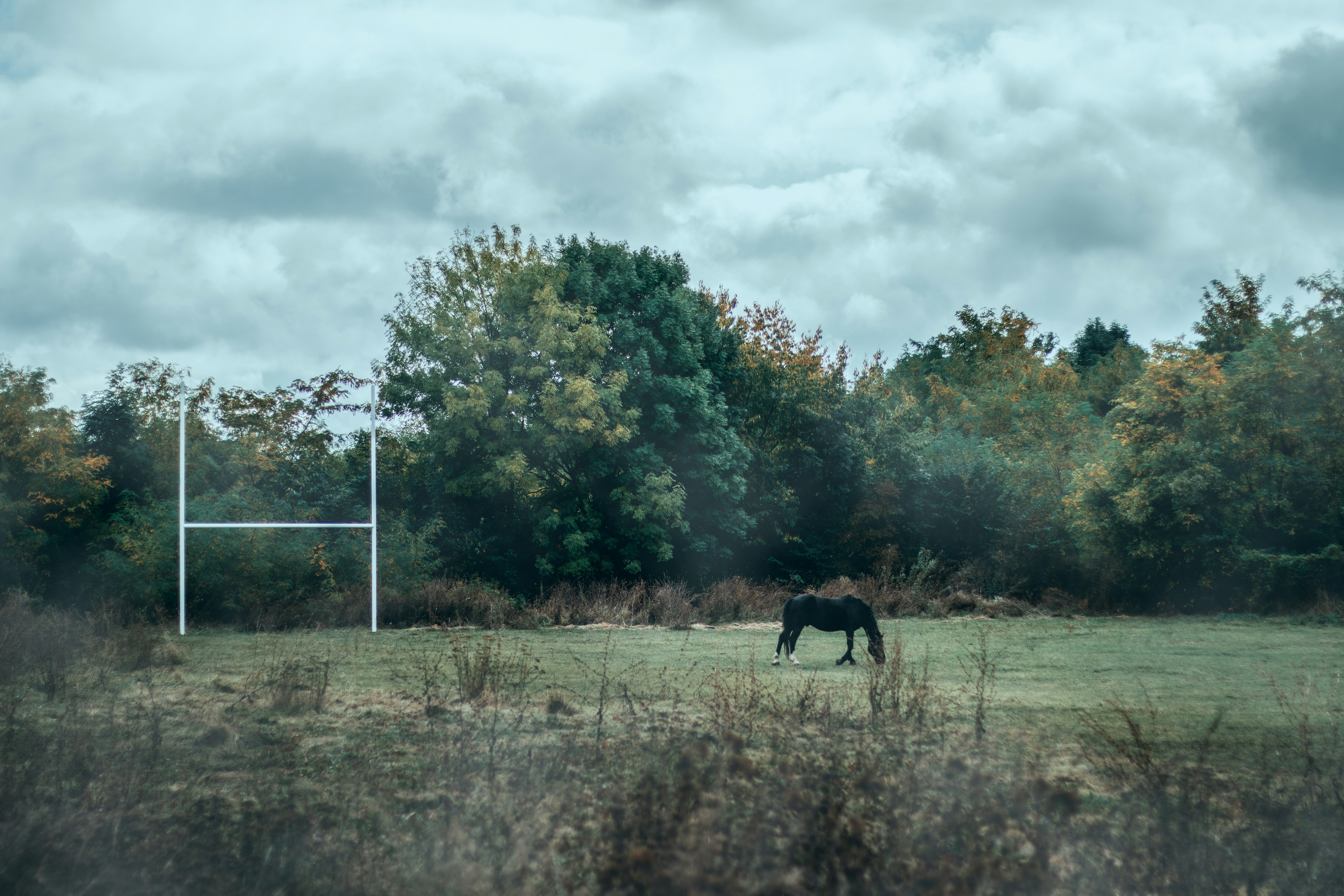 Empty Field Pictures | Download Free Images on Unsplash