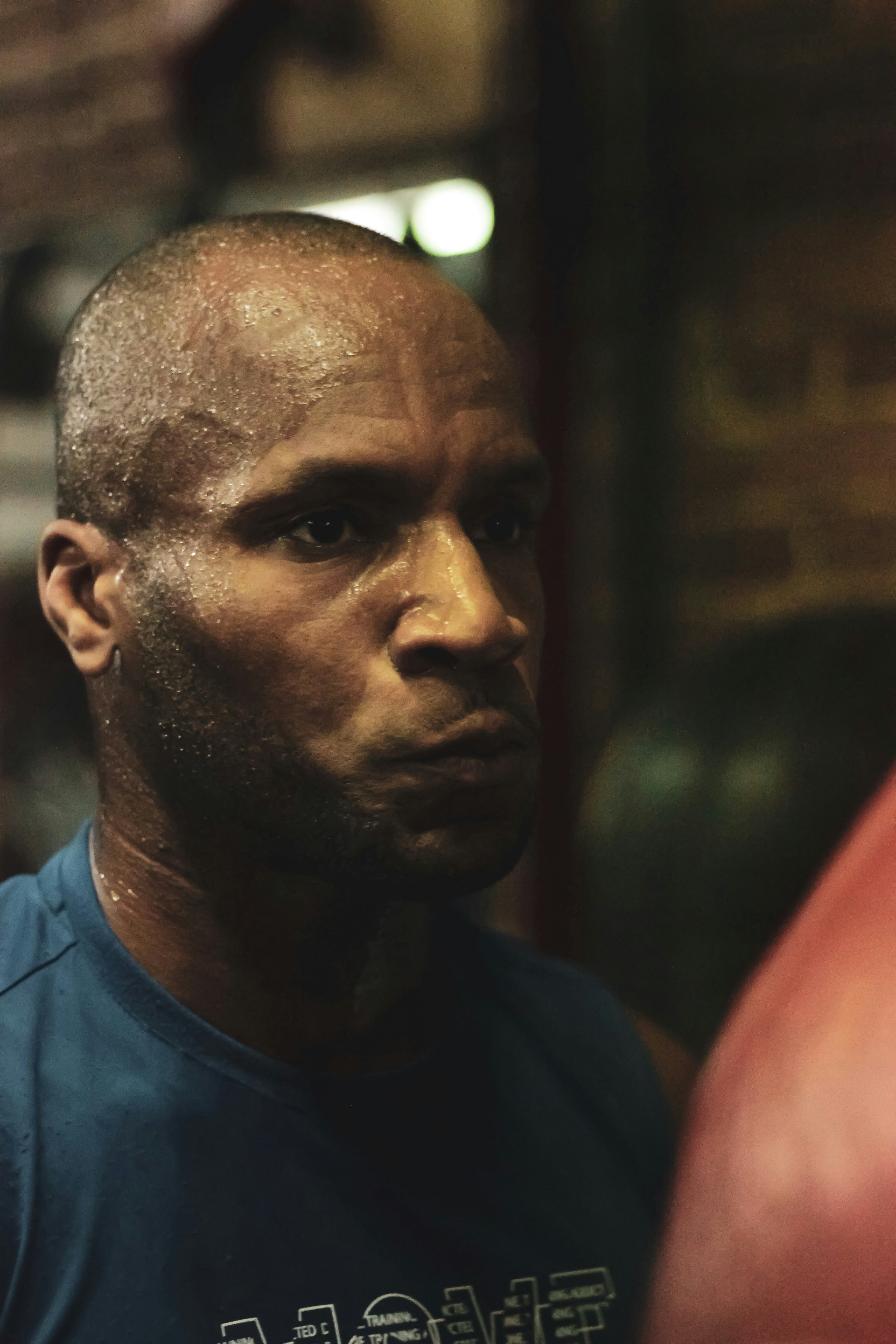 Man wearing blue crew-neck shirt photo – Free Fitzroy lodge boxing club ...