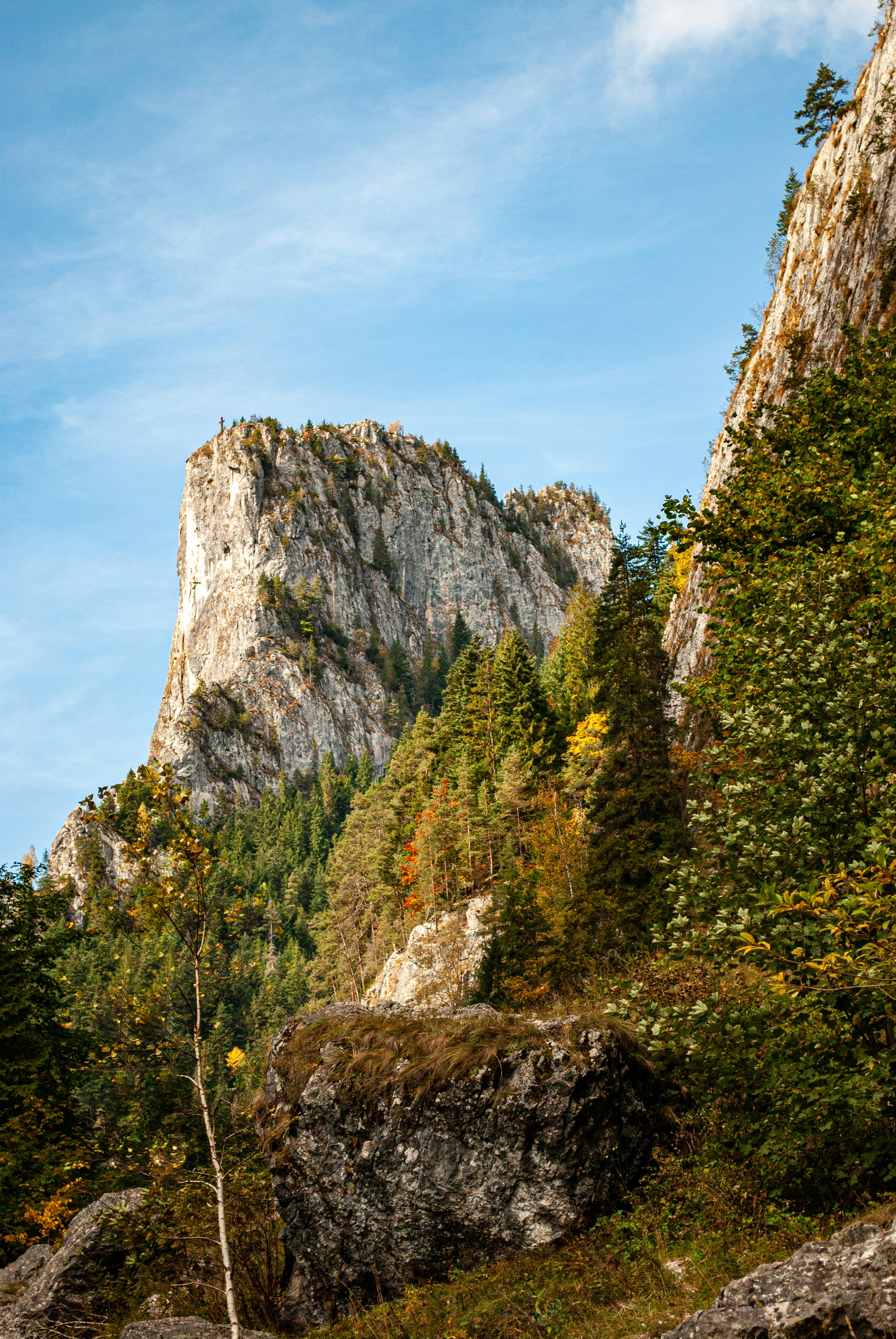 Granite Sentinel Rises Over a Forested Alpine Face