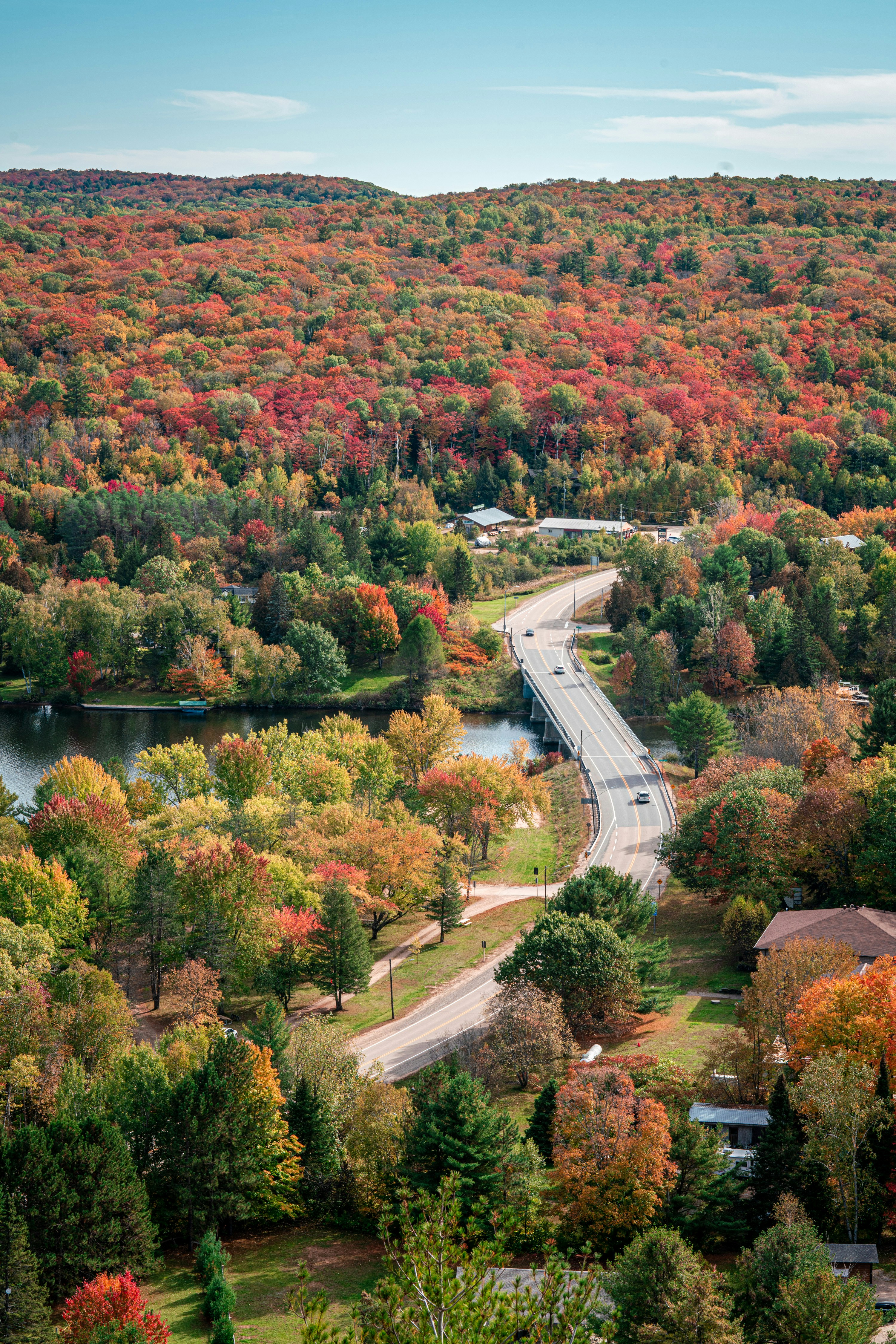 Vibrant autumn foliage blankets the landscape, with a winding road and serene river nestled among the trees. The scene captures the essence of seasonal transition.