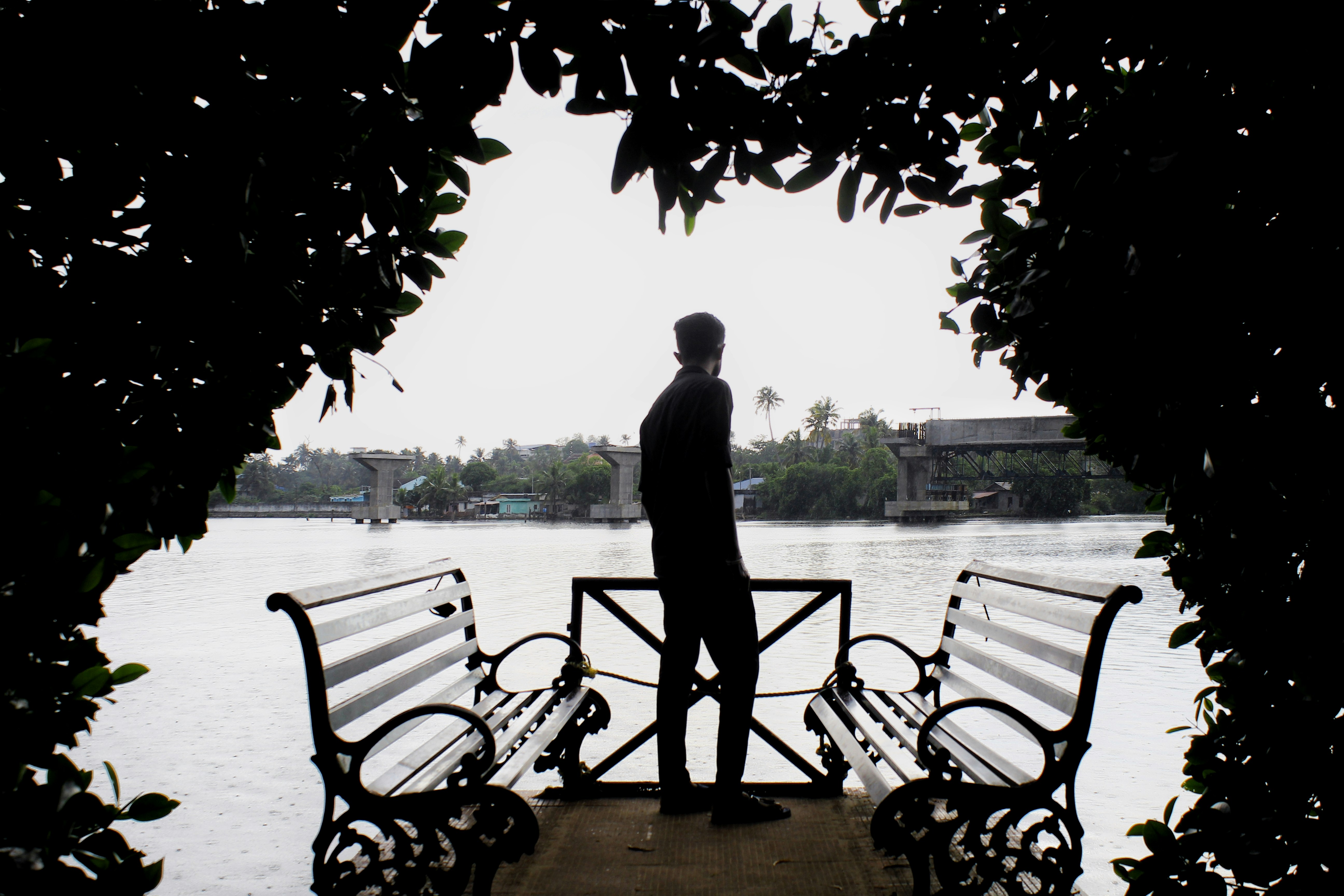 Riverside Gatekeeper: A Lone Figure Framed by Benches and Branches