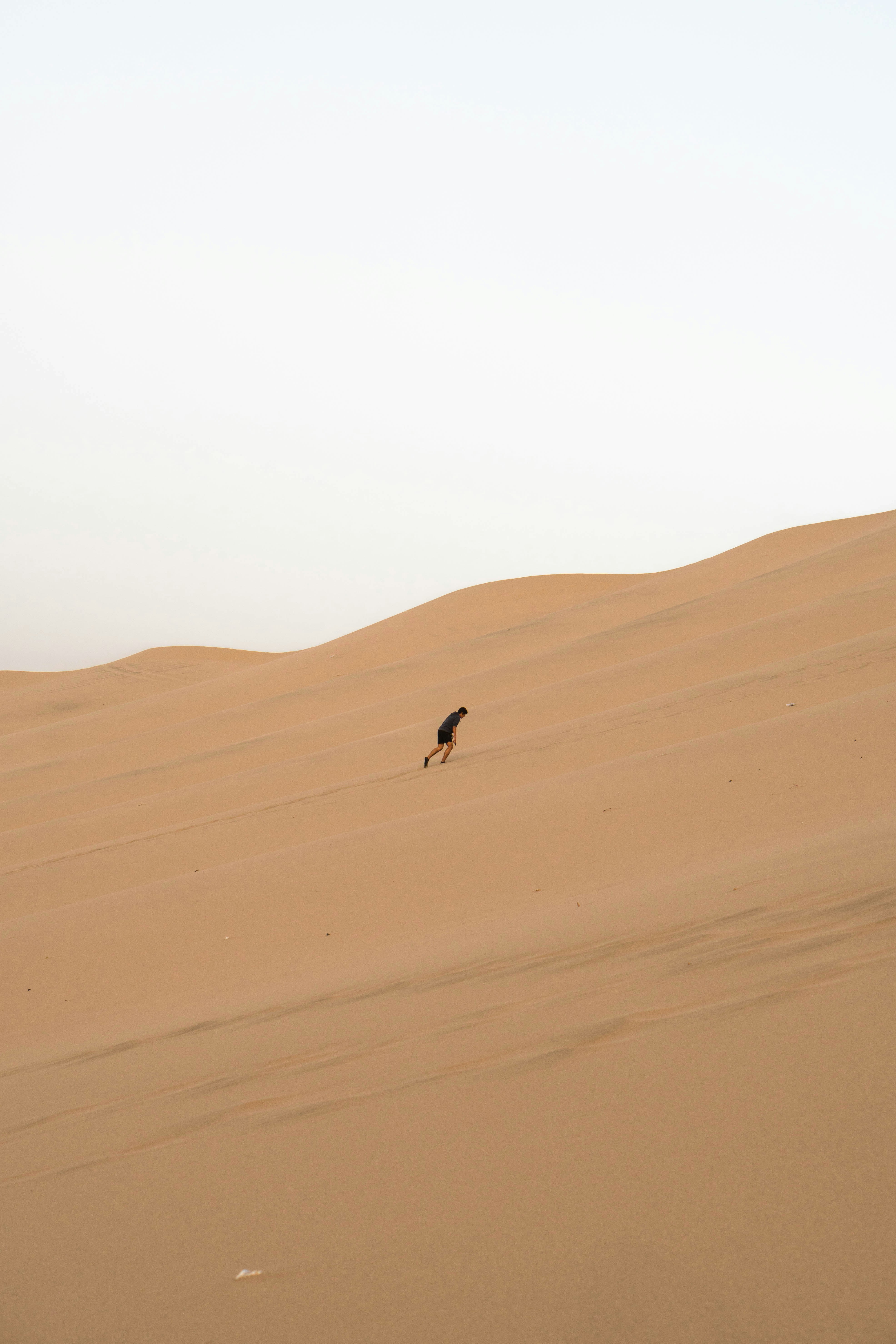 A lone figure traverses the undulating dunes of a desert, capturing the essence of solitude and perseverance. The warm tones of the sand contrast with the pale sky above.