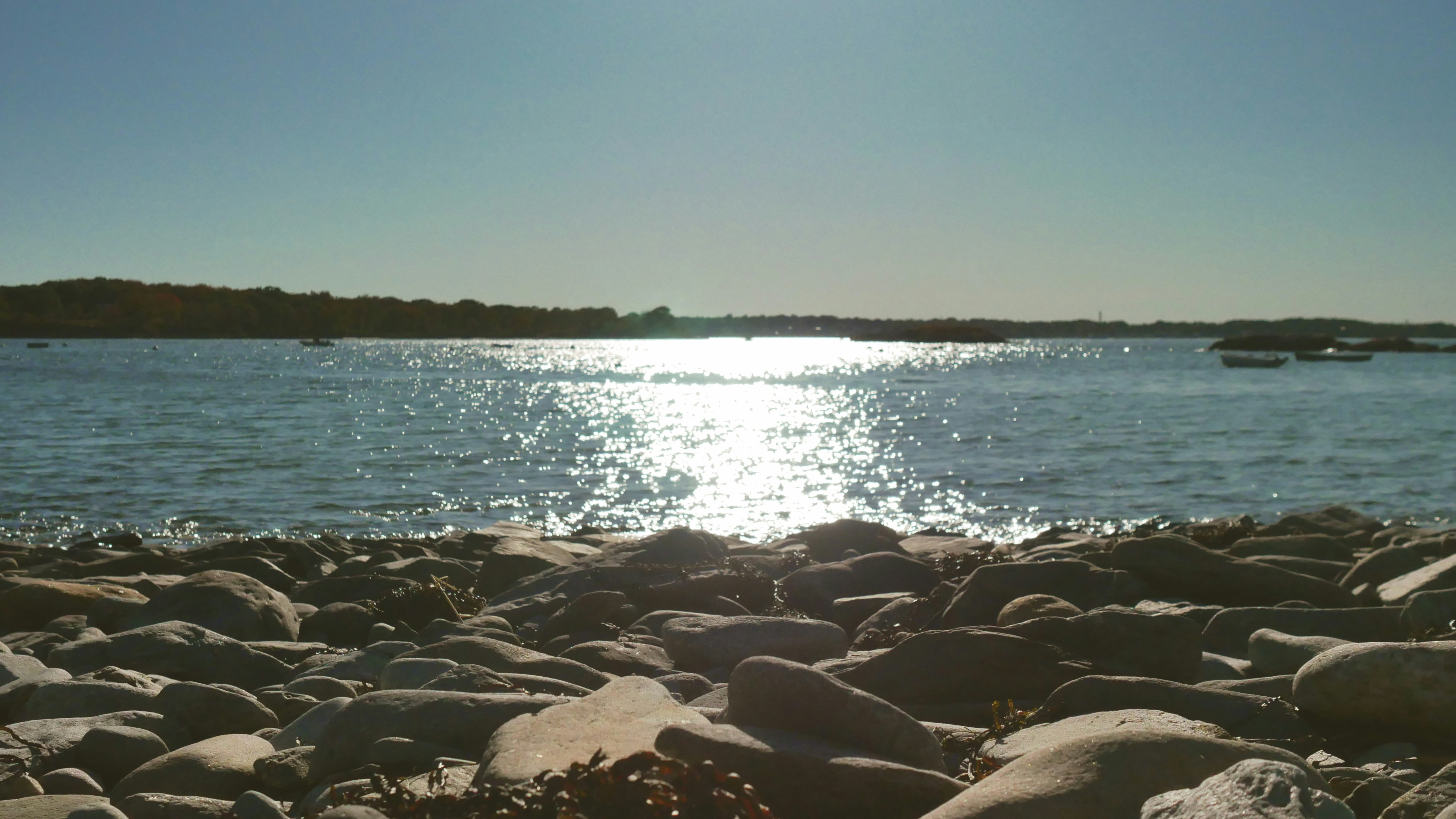 Définition de nôme | Dictionnaire français | La langue française