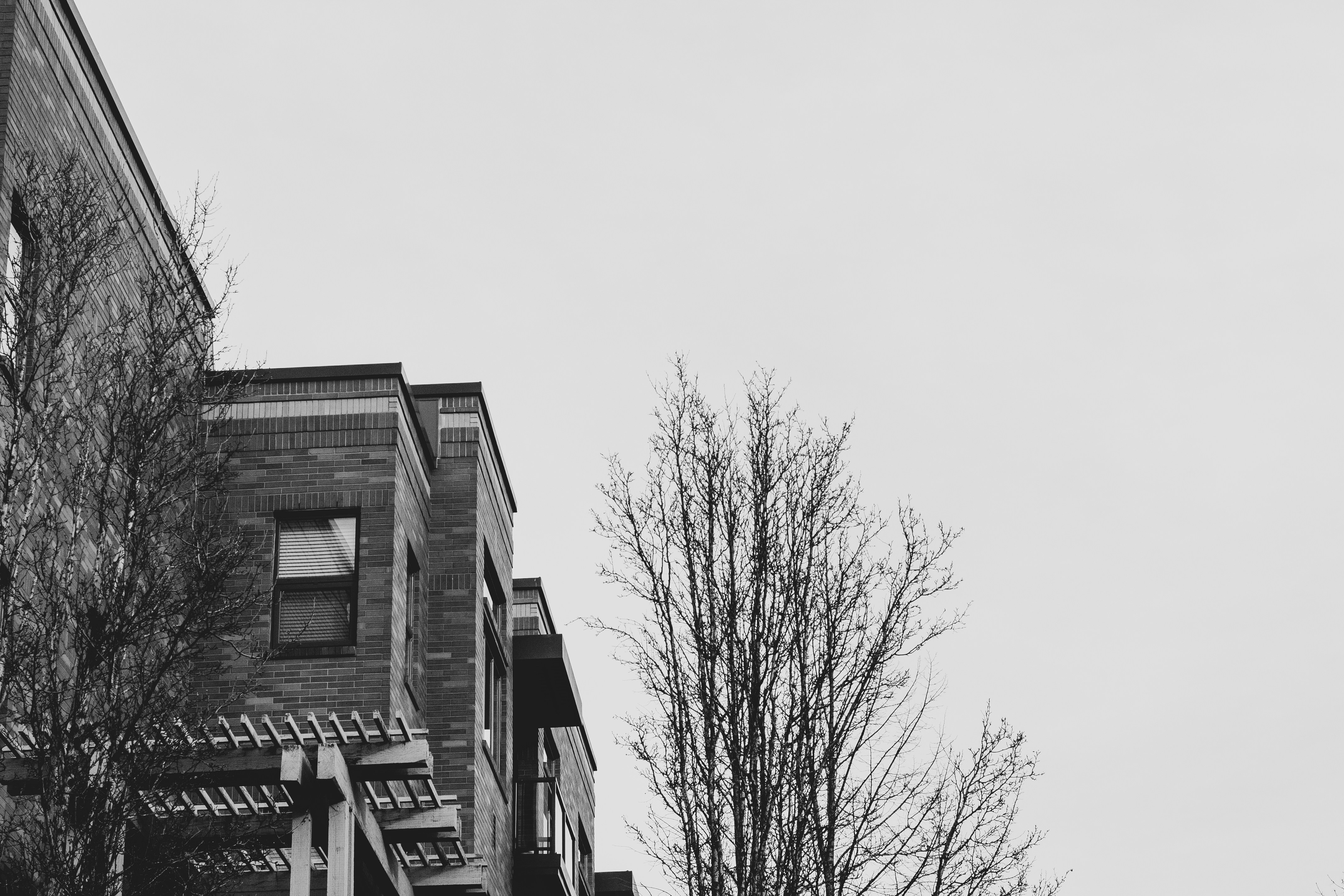 Density Pictures | Download Free Images on Unsplash