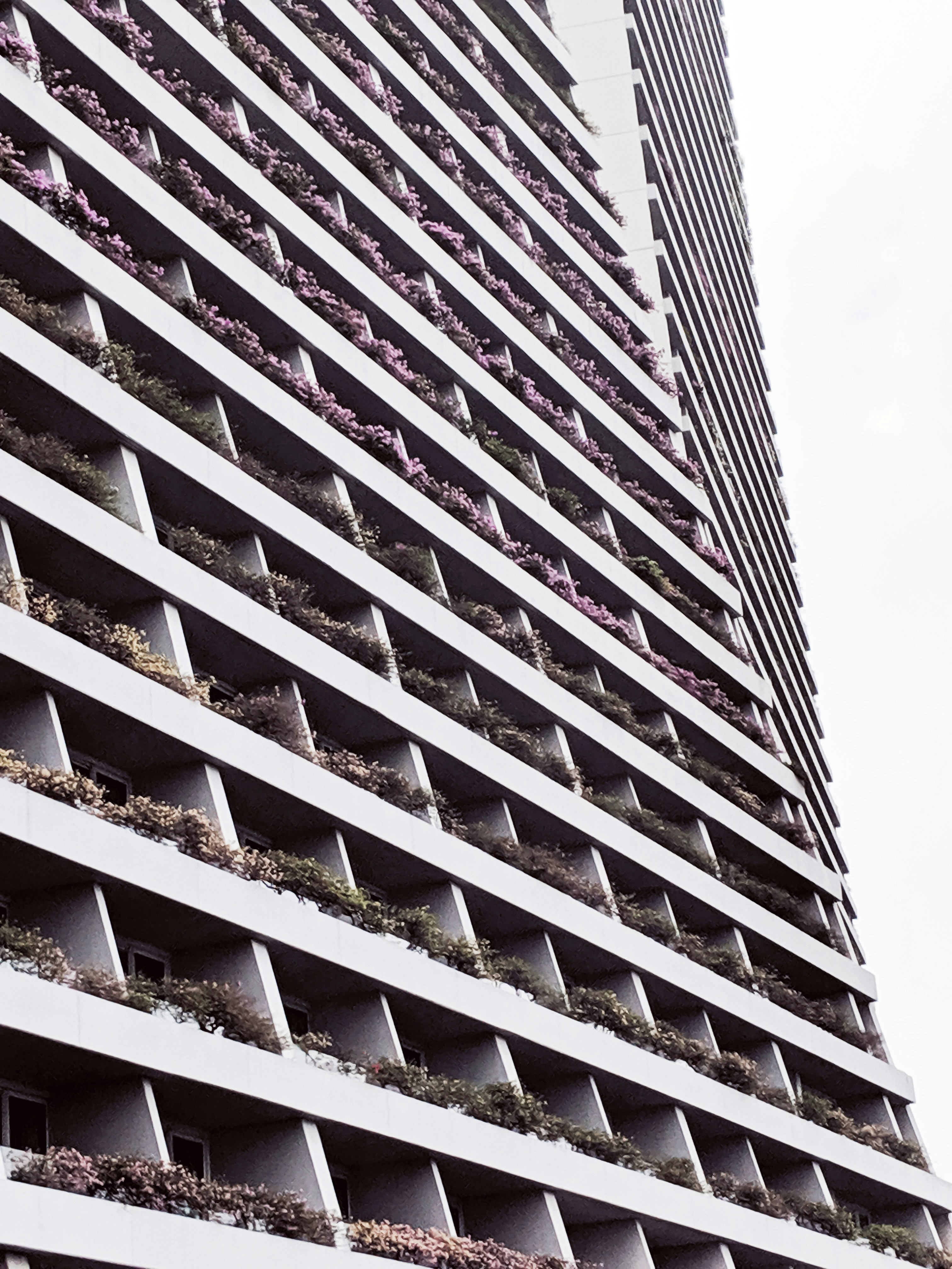 Petaled Ribs: A Leaning High-Rise Wrapped in Plants