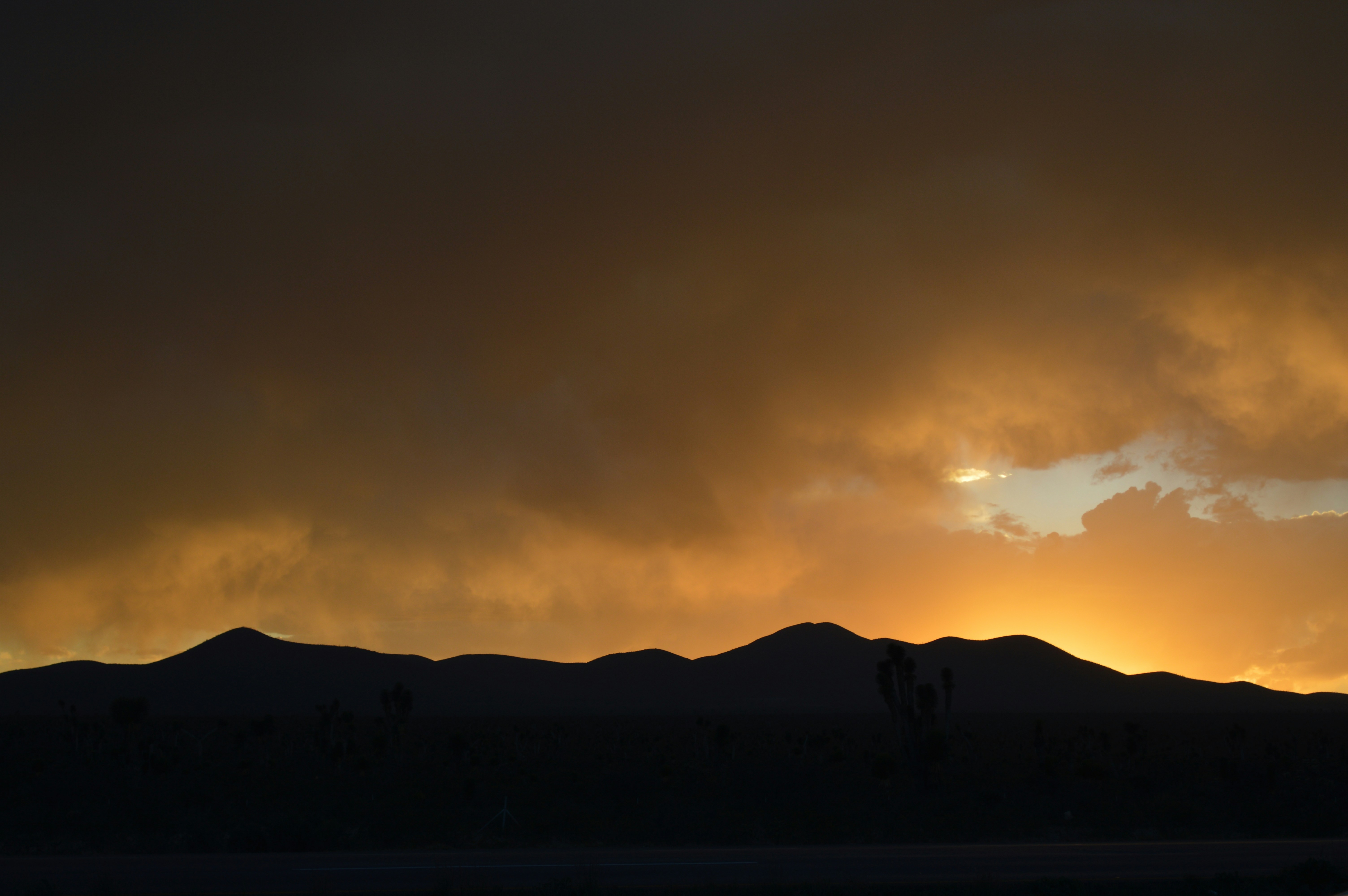 Buen Clima Photos | Télécharger des images gratuites sur Unsplash