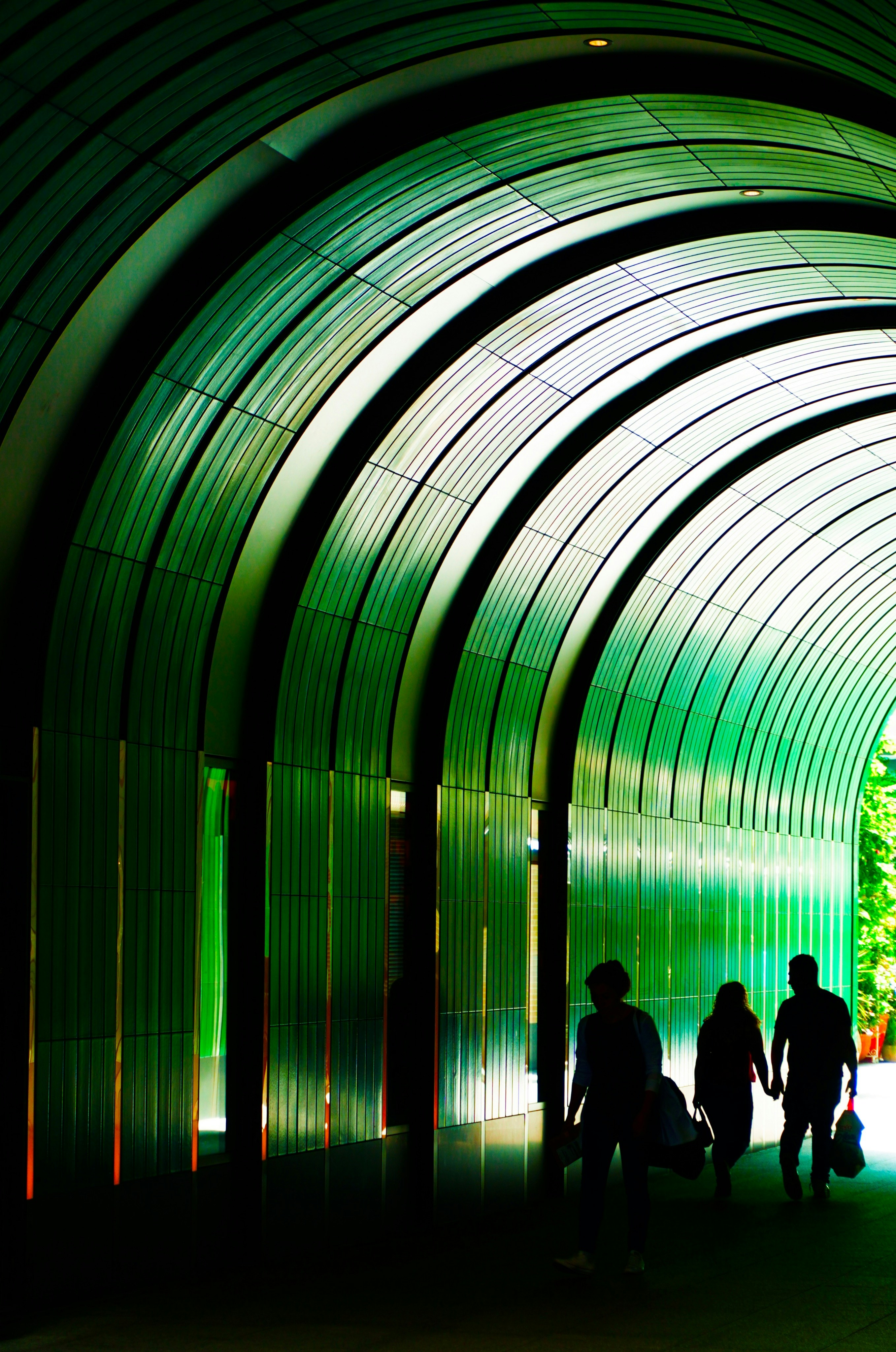 Emerald Archway: Silhouettes Toward the Light