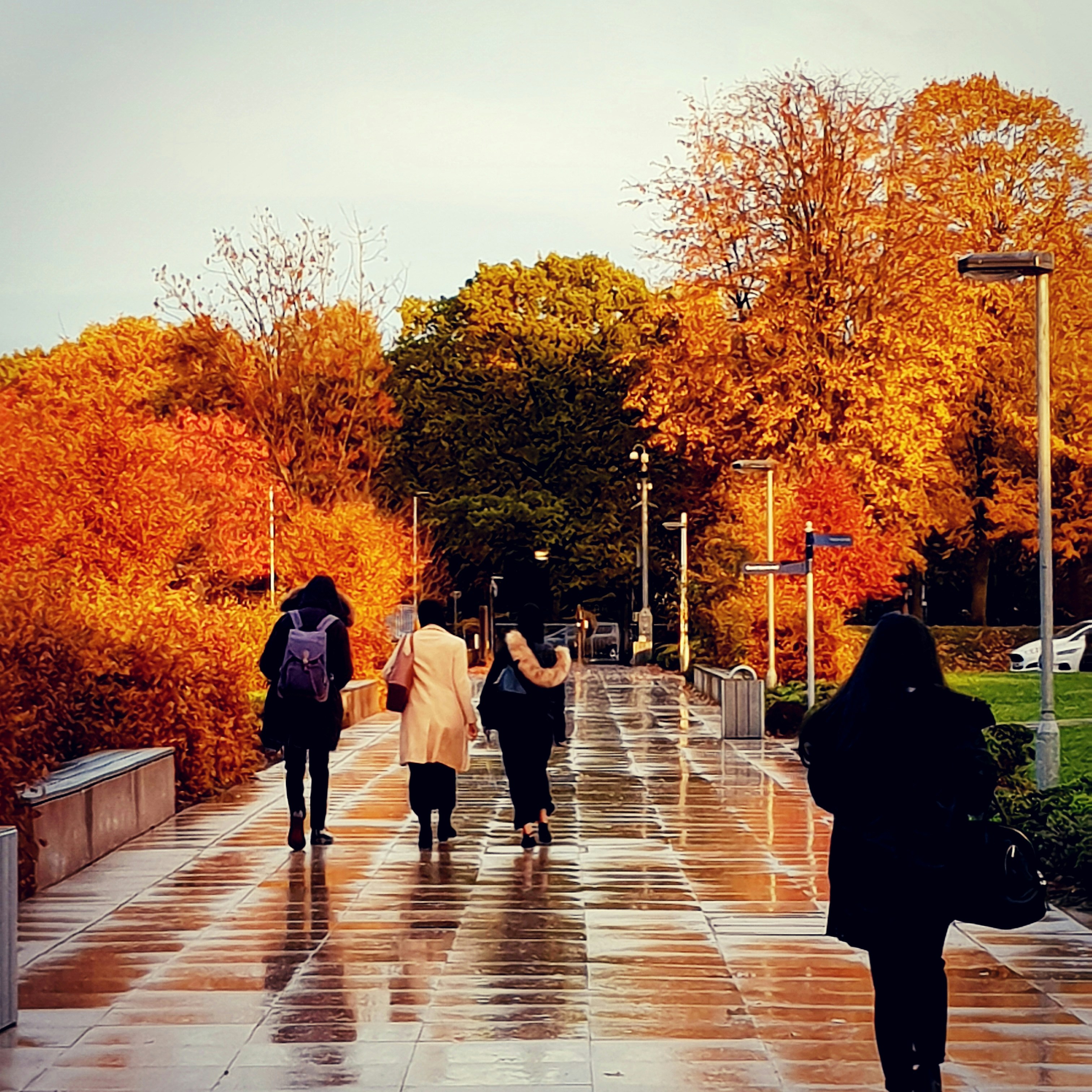 Foto Gente caminando por la carretera – Imagen Humano gratis en Unsplash