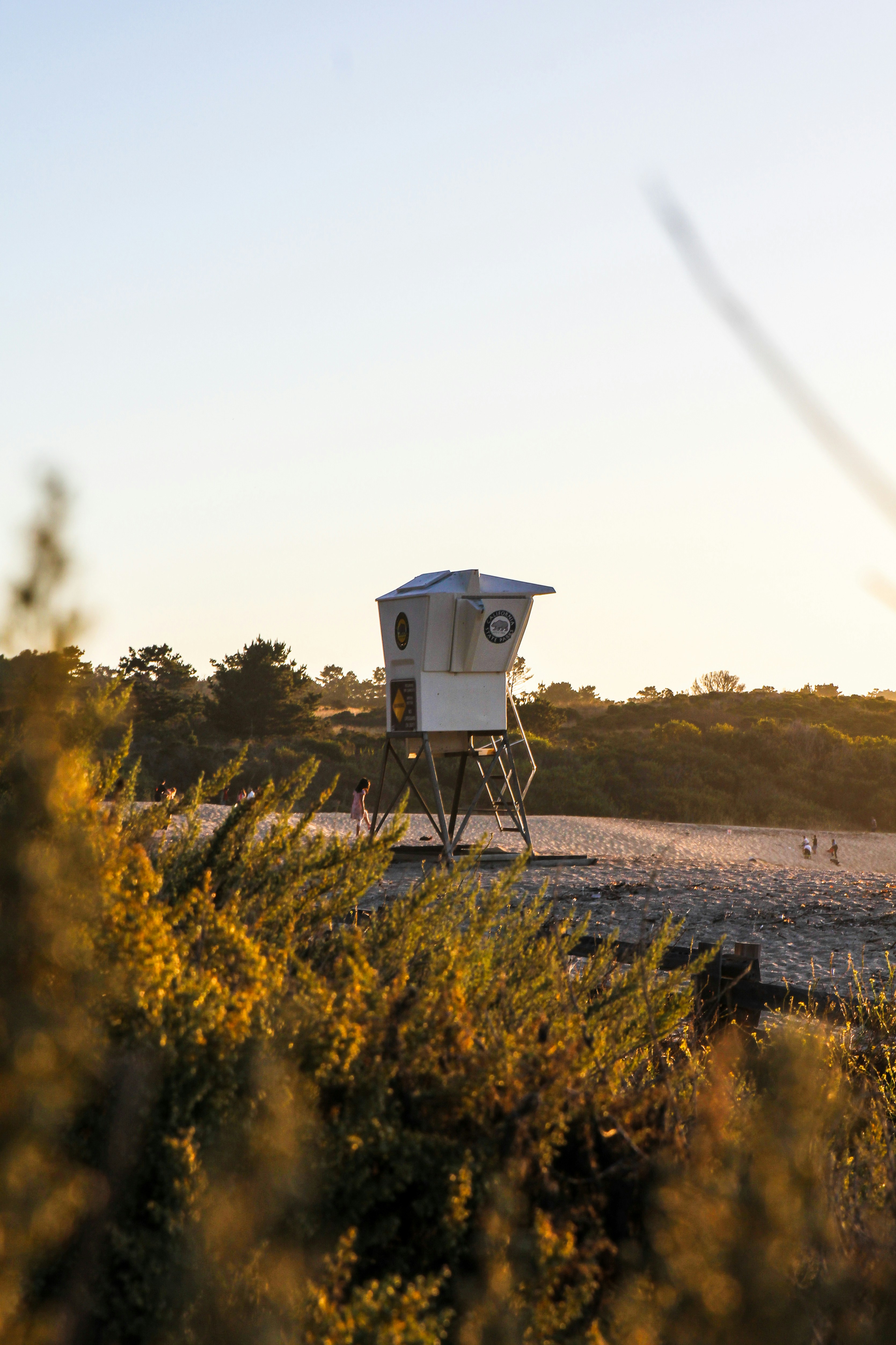 A lifeguard tower stands sentinel on a sandy beach, framed by coastal vegetation under a warm sunset sky.