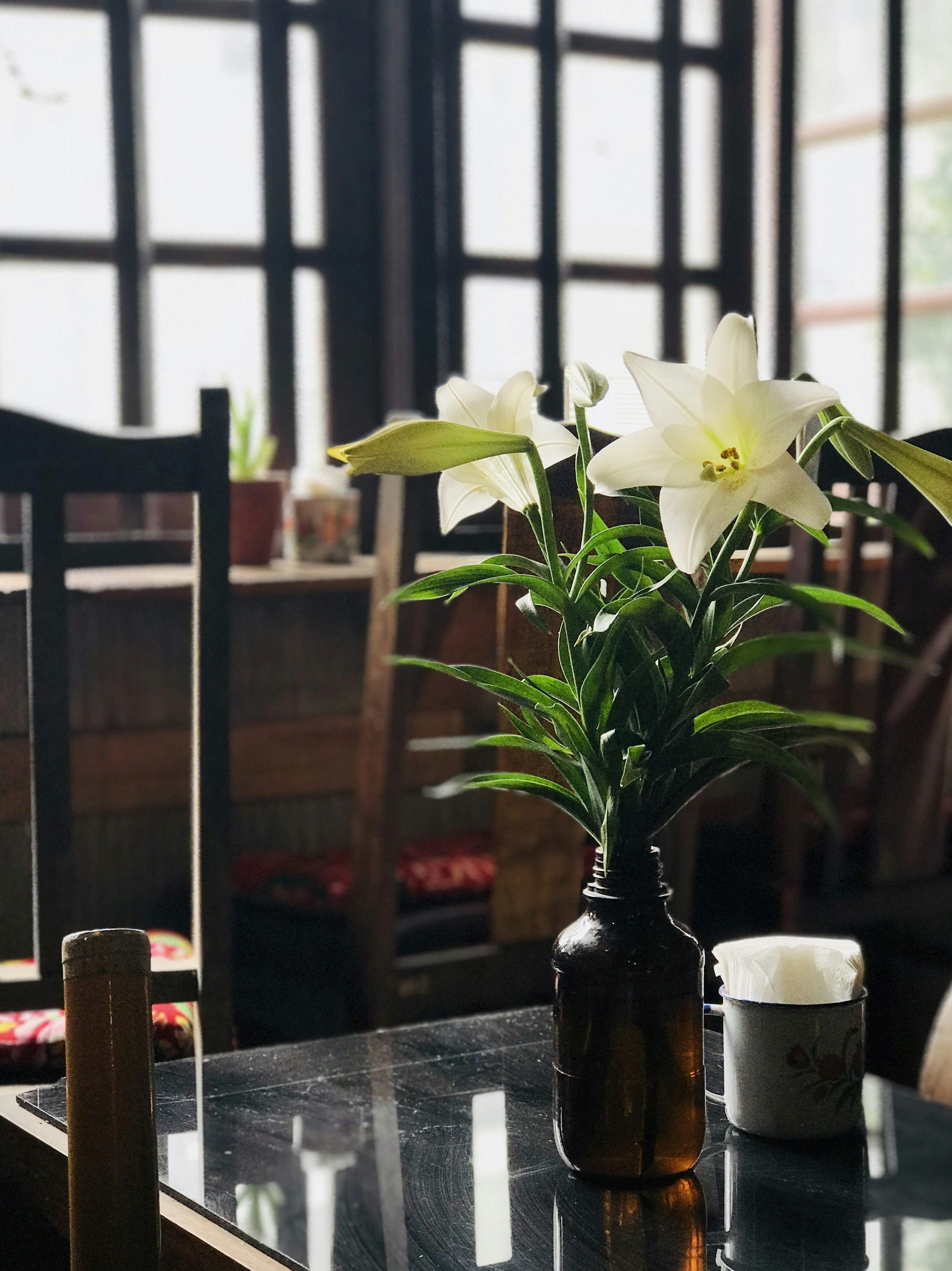 white petaled flowers in vase