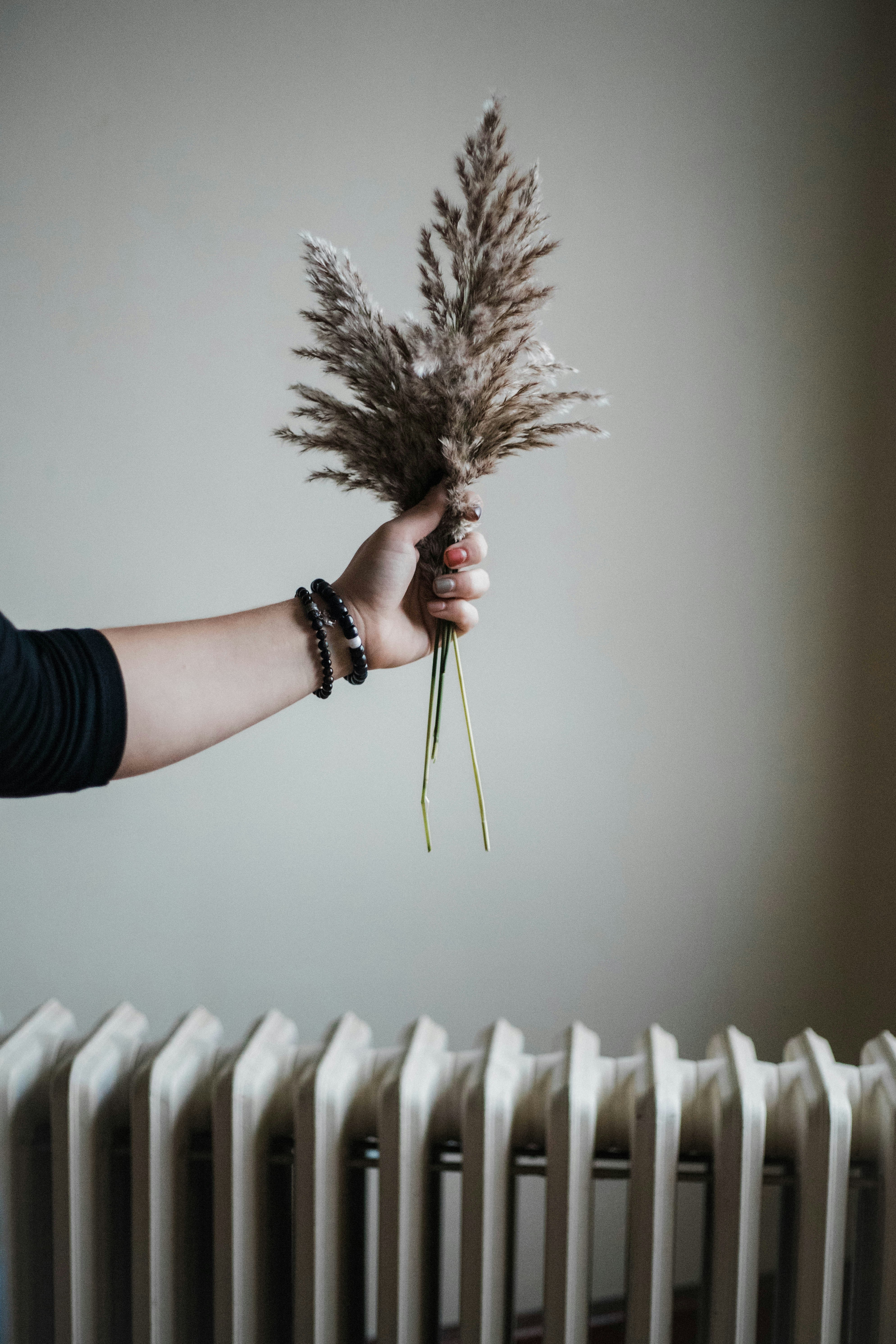 Dried Pampas Bouquet in Soft Indoor Light