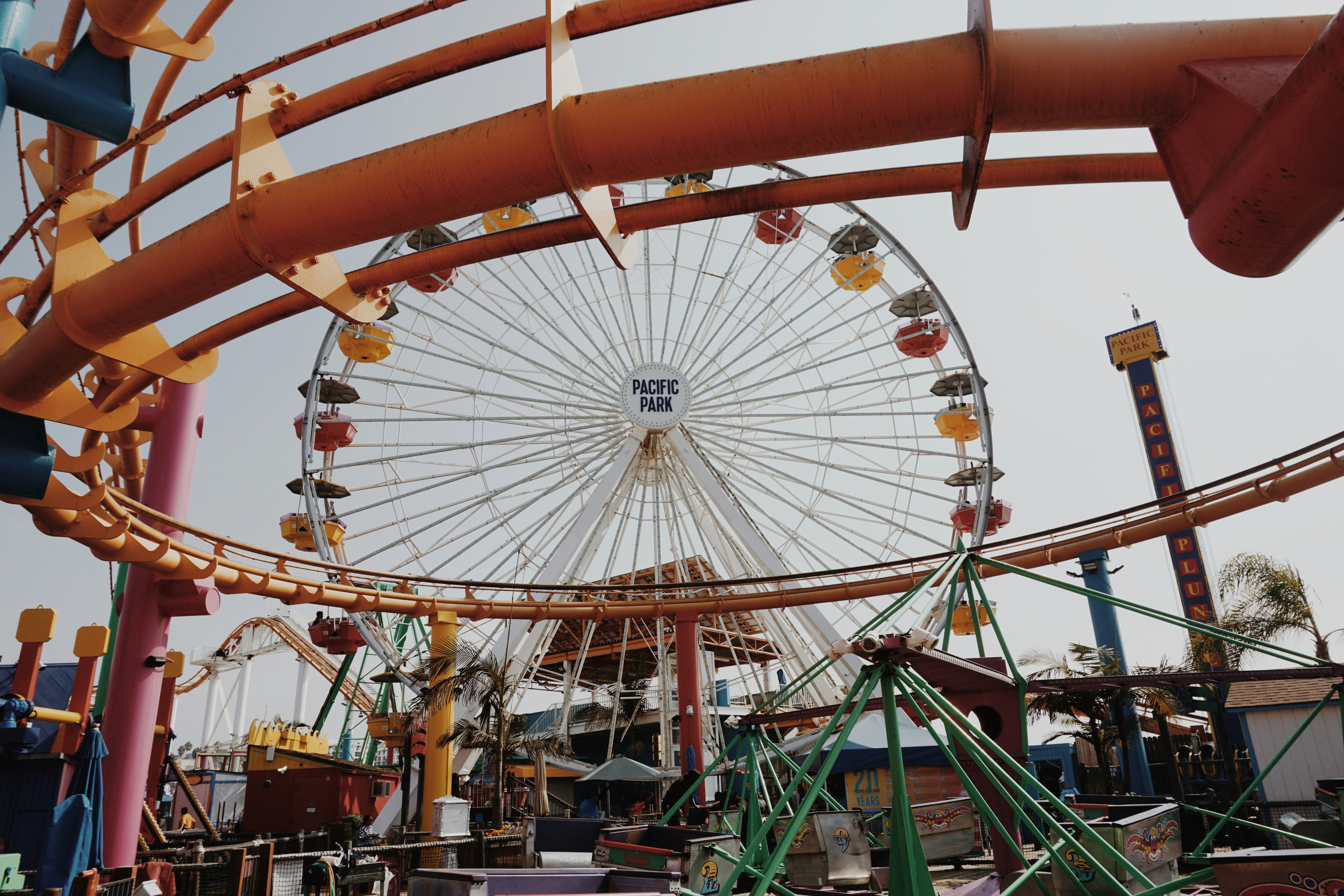 Colorful amusement park rides intertwine with a towering Ferris wheel, showcasing the vibrant atmosphere of Pacific Park.