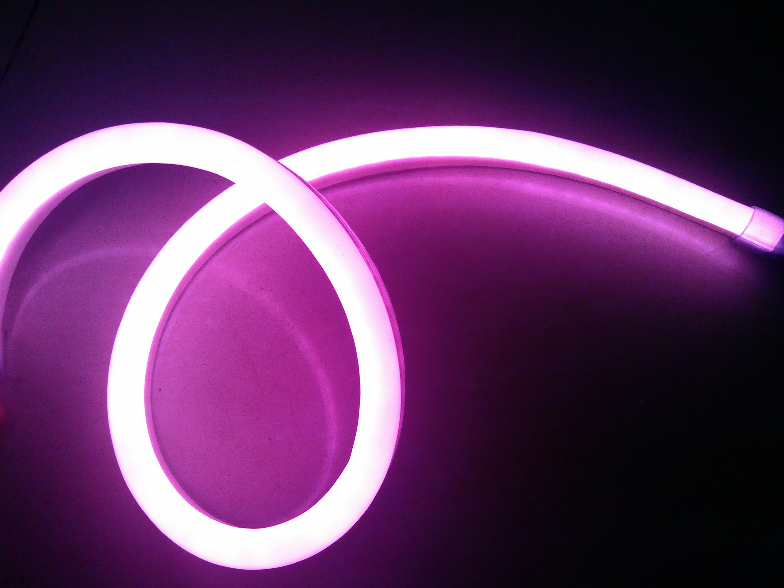 Ledgor Lighting (@ledgor) | Comunidad de fotos de Unsplash