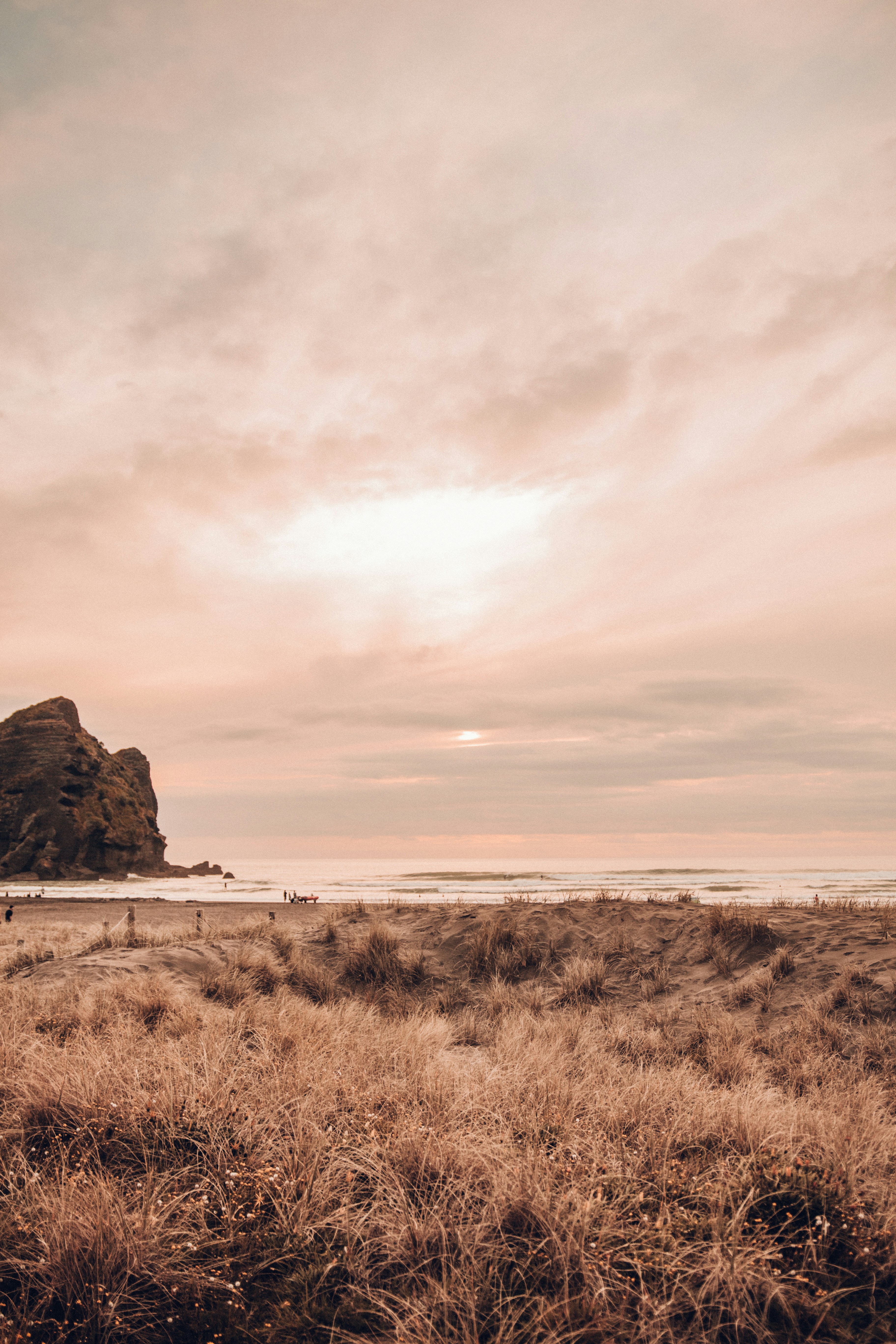 30,000+ Daylight Pictures | Download Free Images on Unsplash