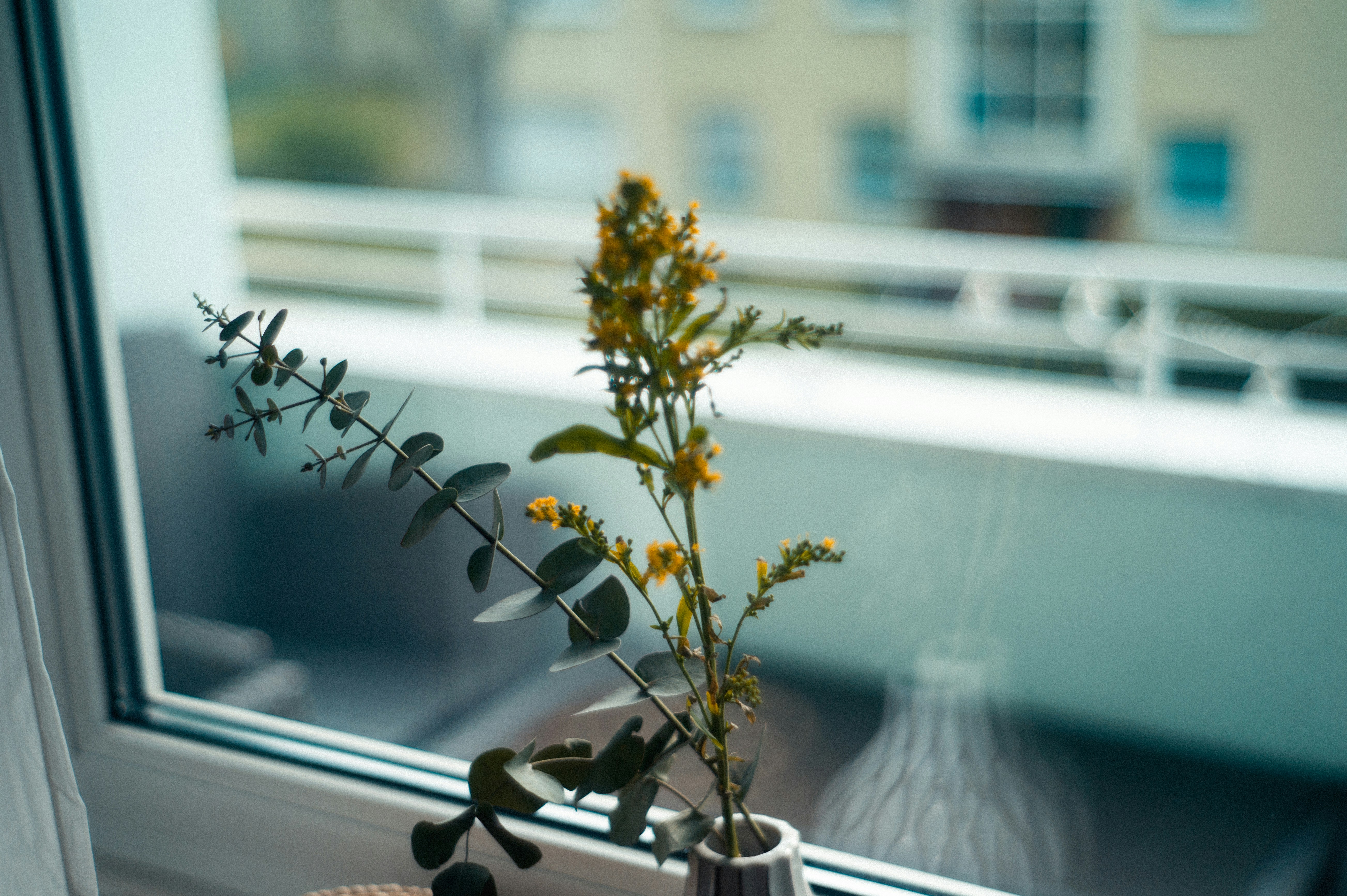 Delicate yellow flowers and green leaves arranged in a vase, viewed through a window with a soft background of a balcony. 