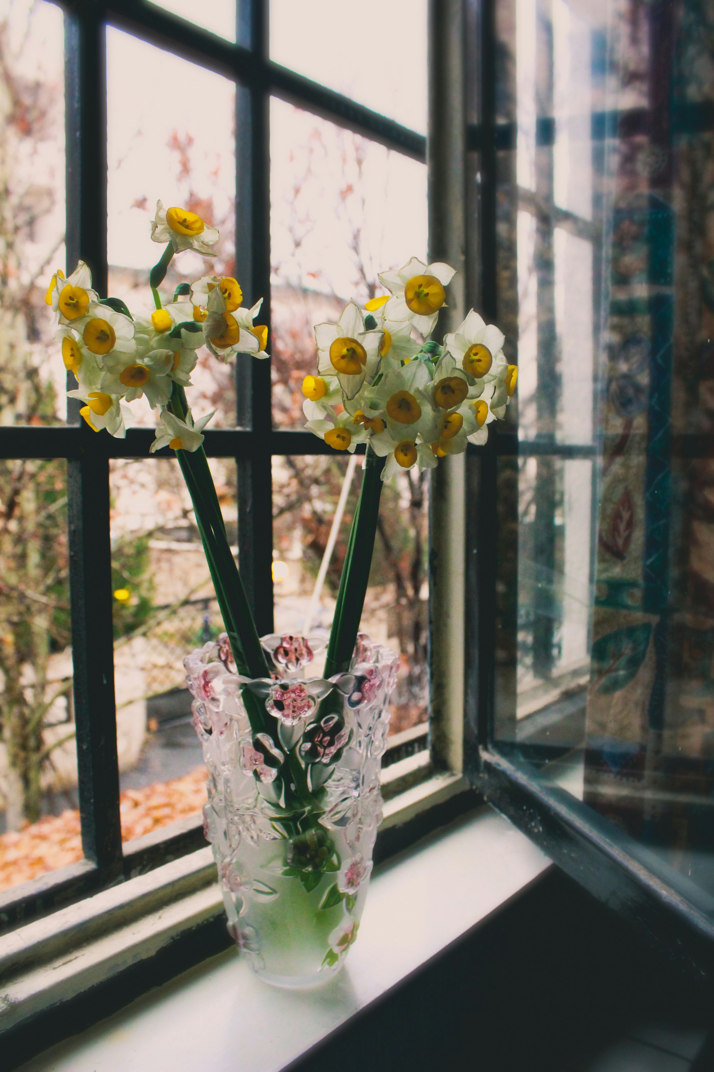 Sunlight and Steel: Daffodils in an Etched Glass Vase by the Window
