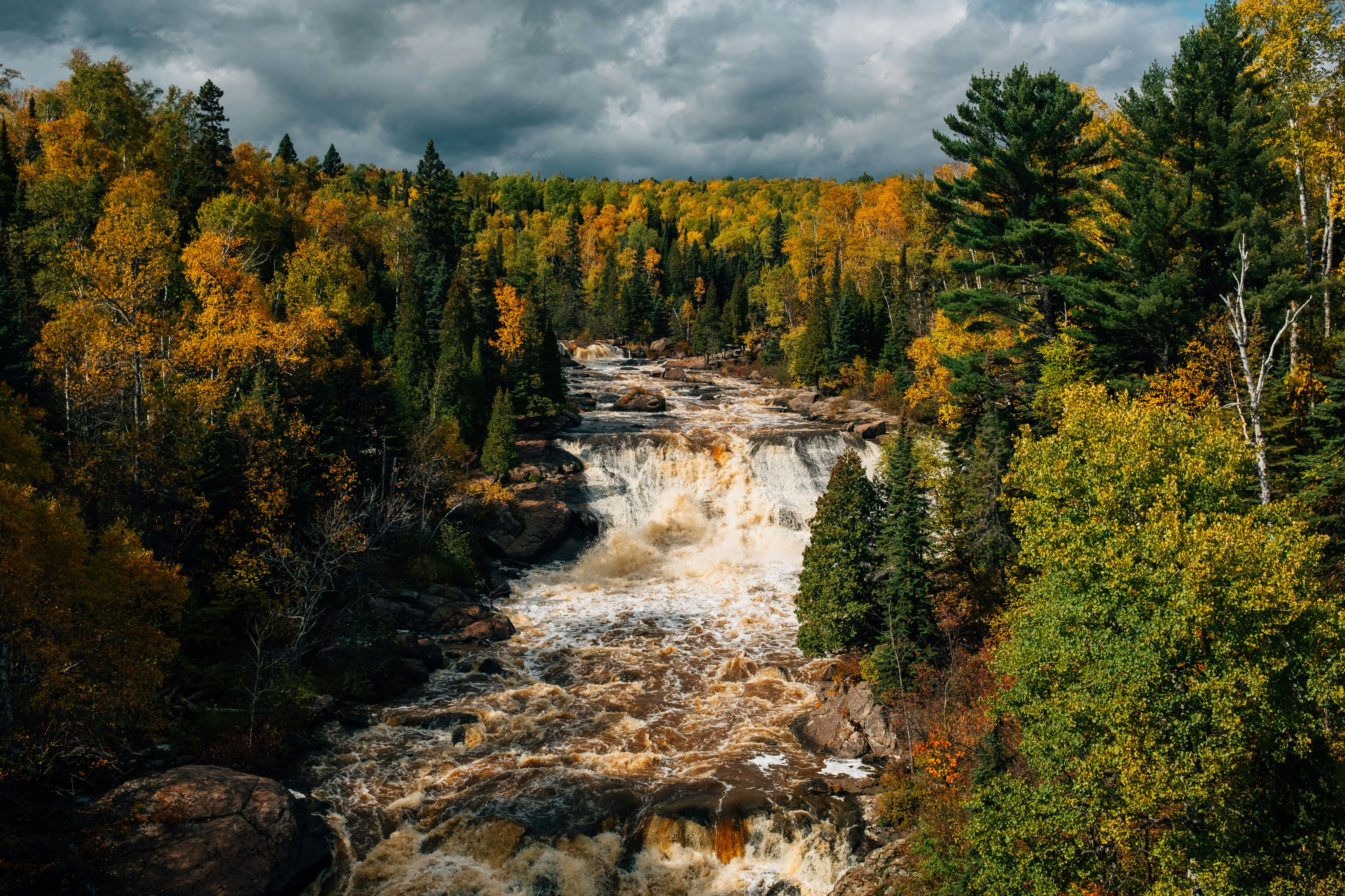 Aerial view of river between forest photo – Free Beaver bay Image on ...