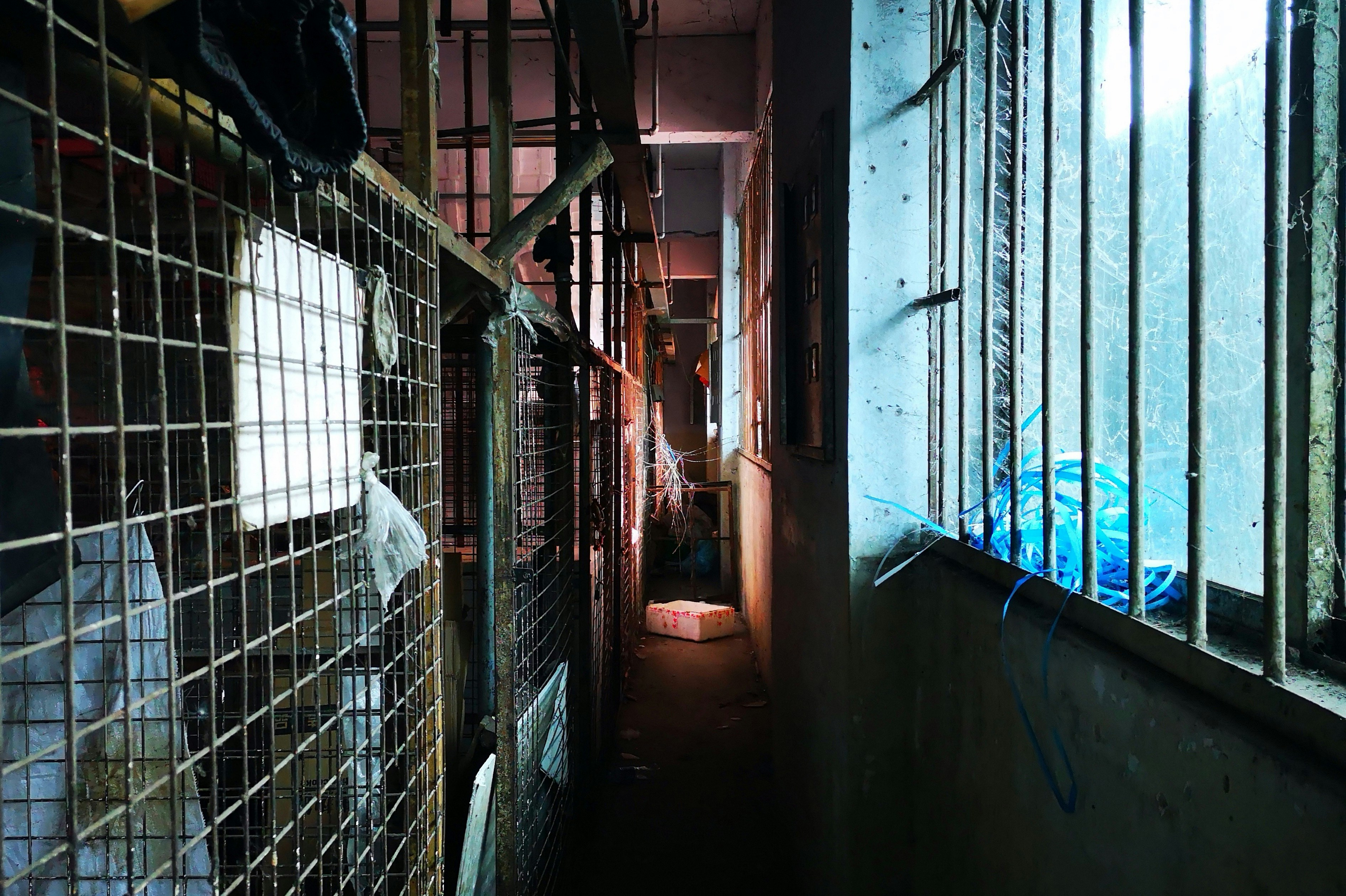 Gray metal cages near glass window photo – Free 辽宁省中国 Image on Unsplash