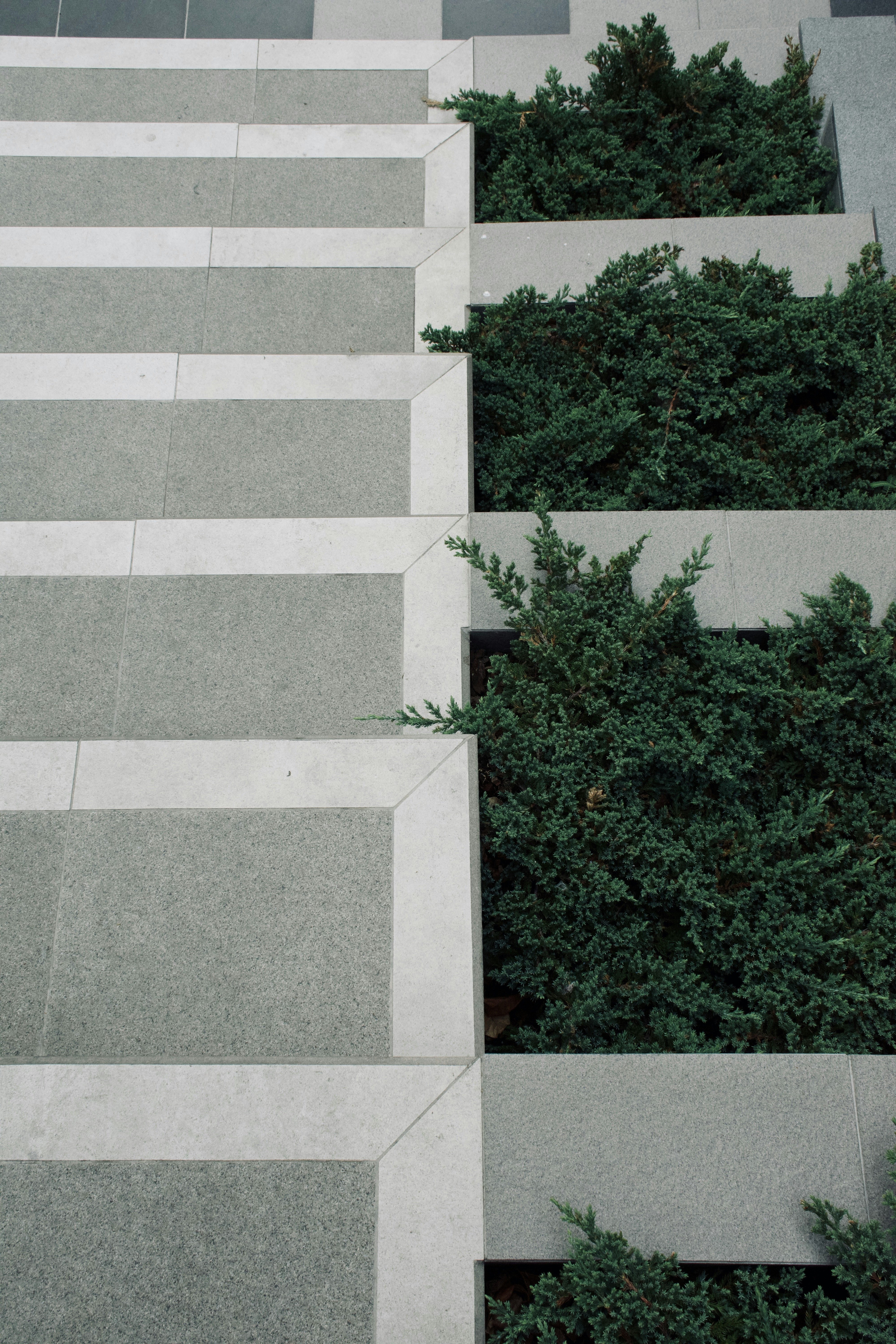 Stone Terraces and Green Corridors: A Geometric Quiet