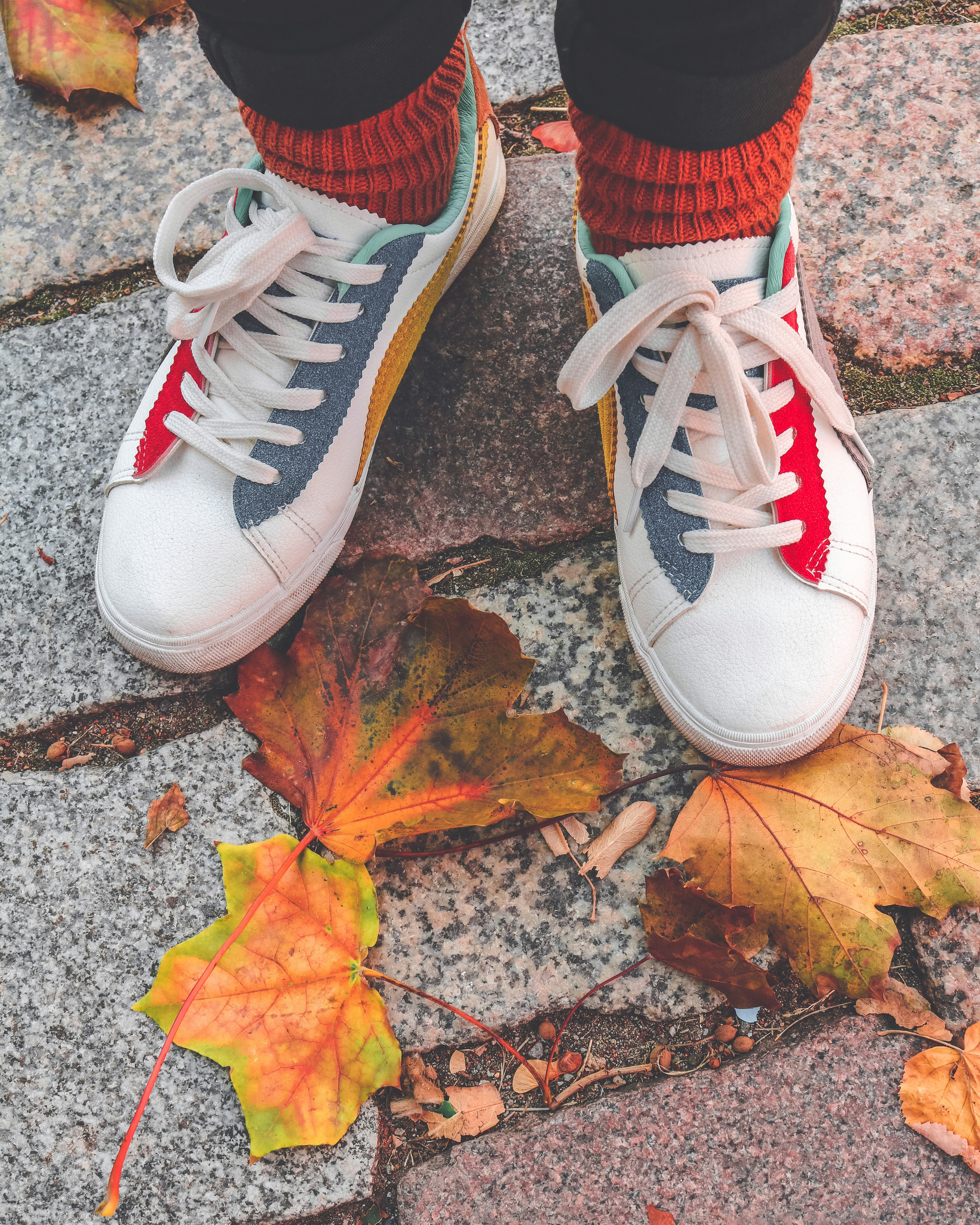 Color-Block Kicks on a Leaf-Strewn Stone