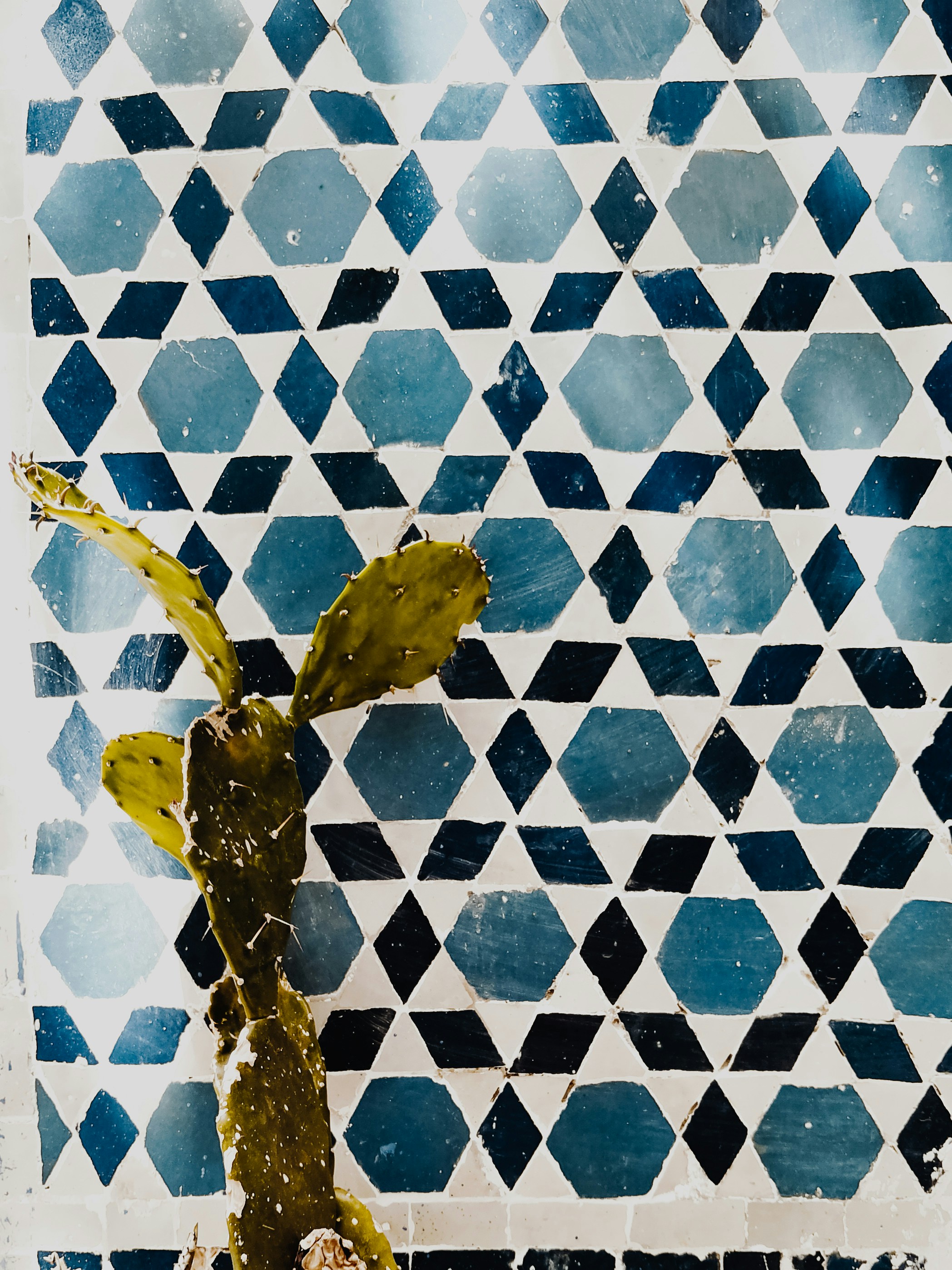 500+ Patron Pictures [HQ] | Download Free Images on Unsplash