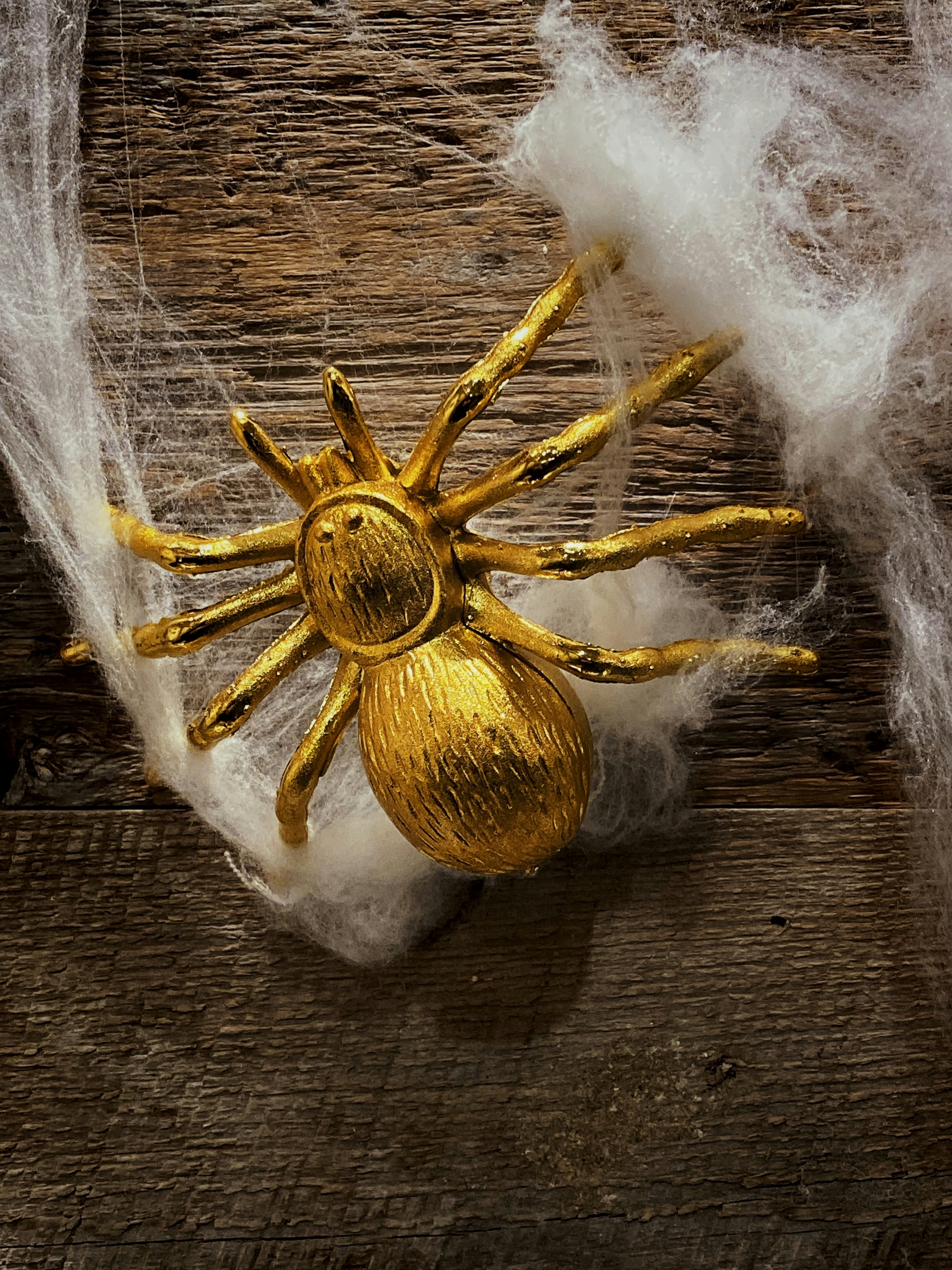 Gilded Spider on Weathered Wood, Framed by White Wisps