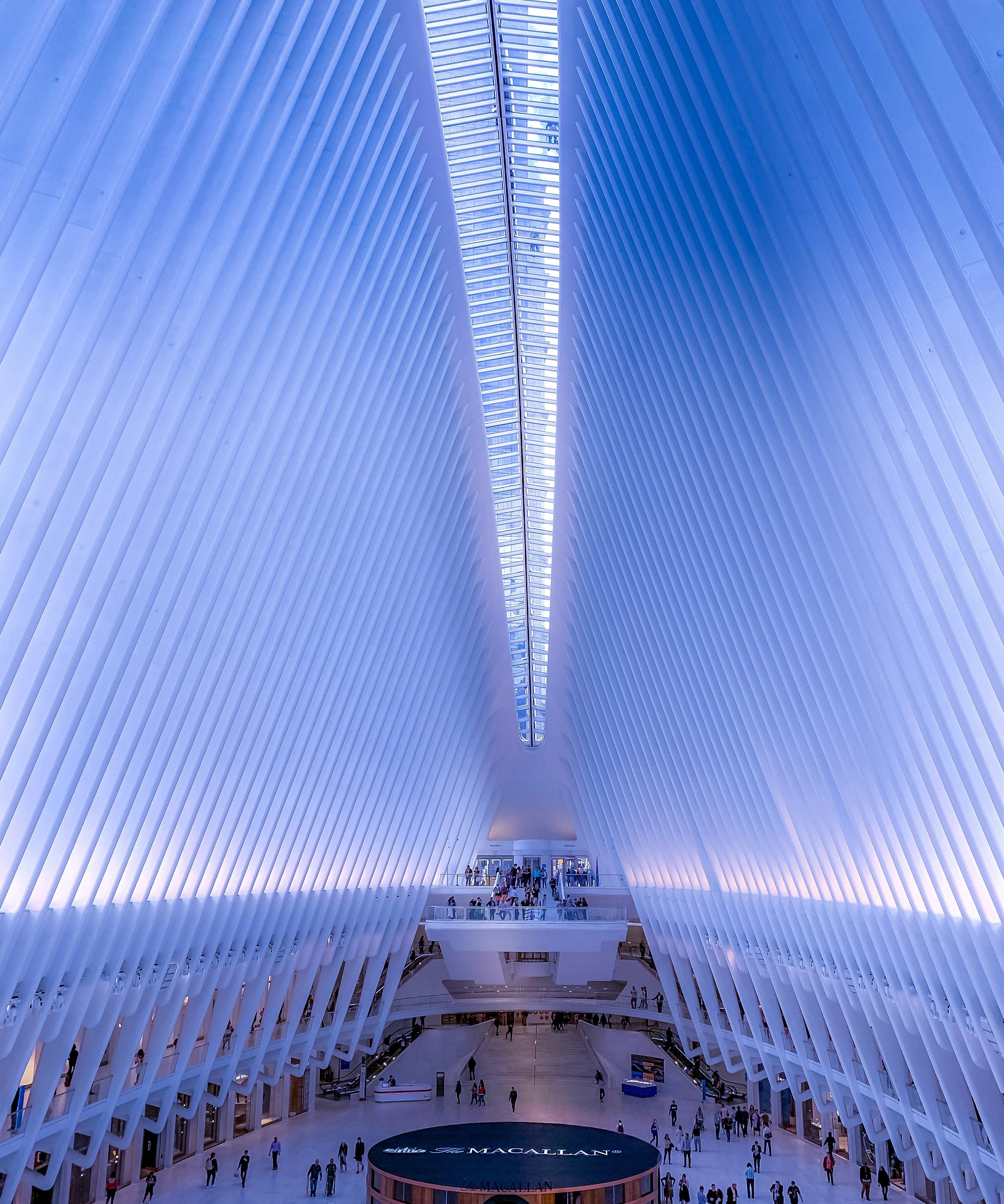 People walking inside building photo – Free Blue Image on Unsplash