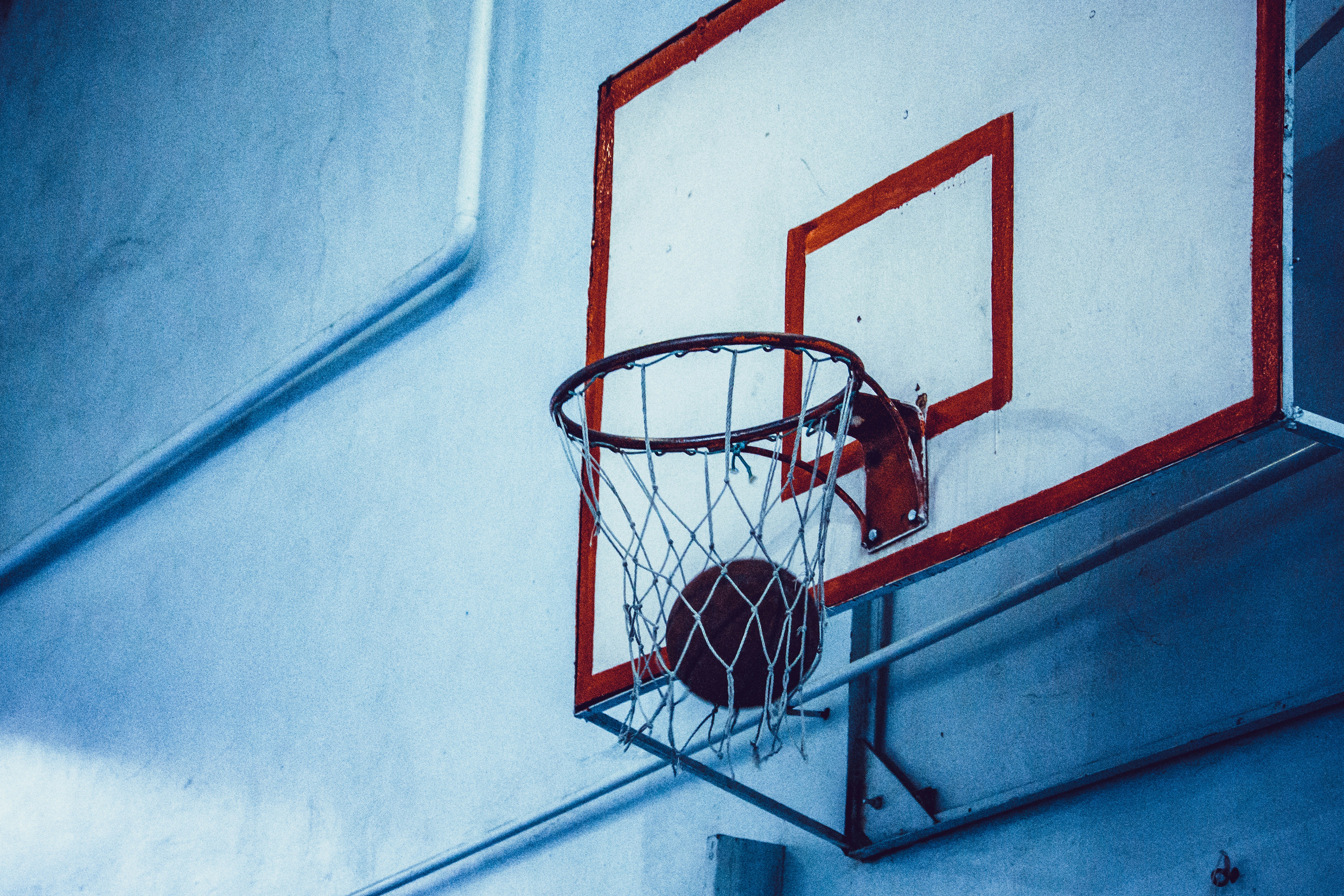 Ball in basketball hoop photo – Free Animal Image on Unsplash