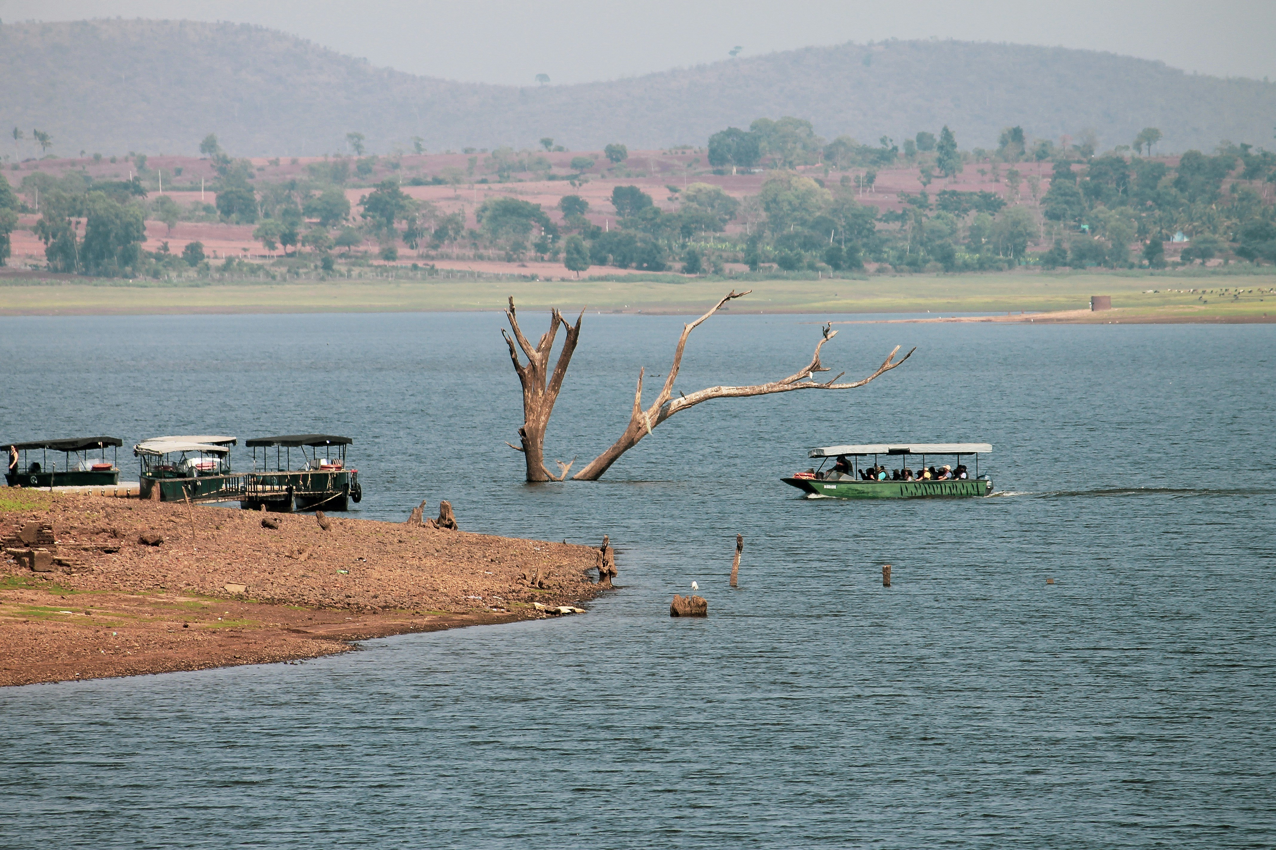 Several water buses on body of water near island photo – Free Kabini ...