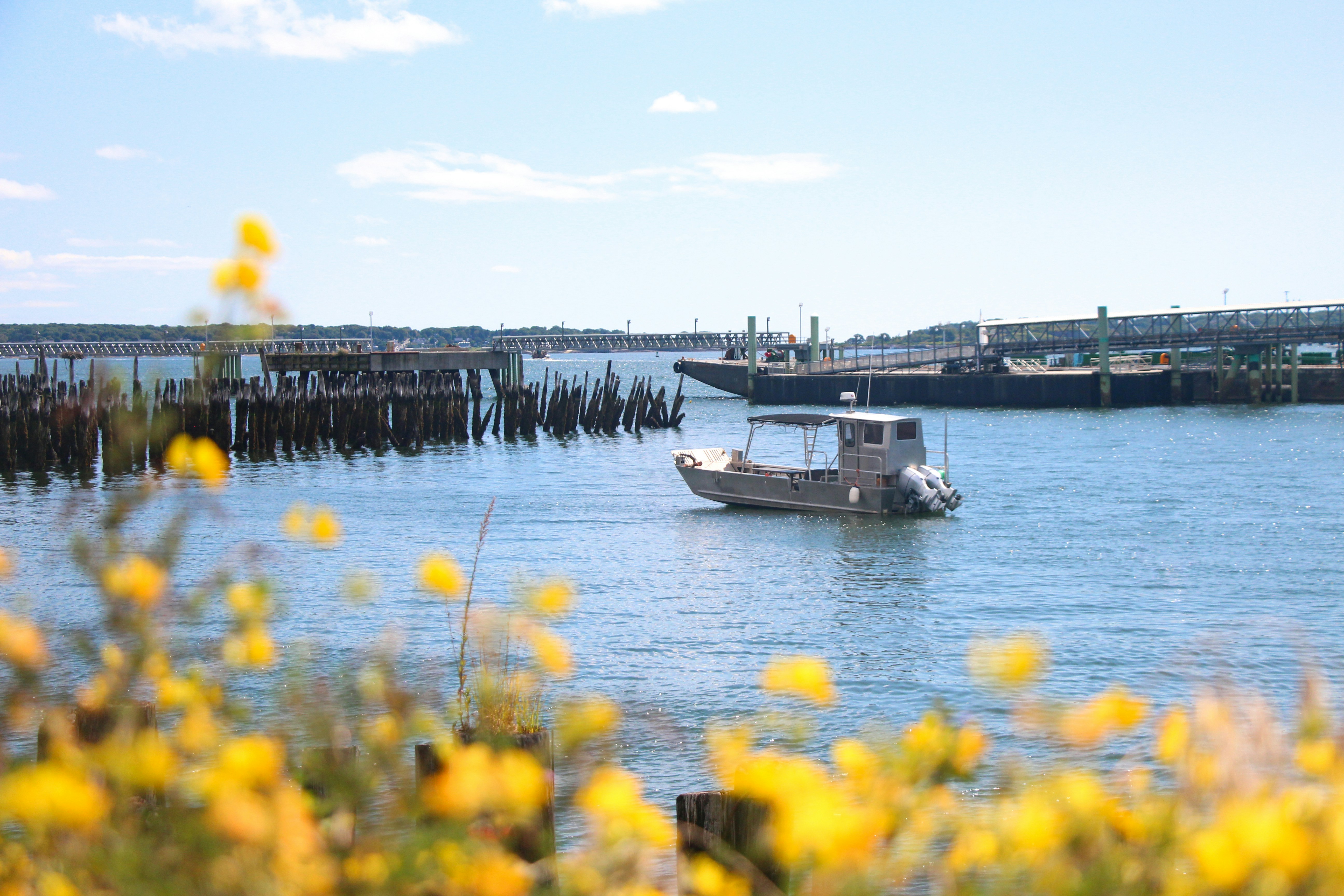 Drift Through Framed Light: A Lone Harbor Boat with Bloom-Framed Foreground