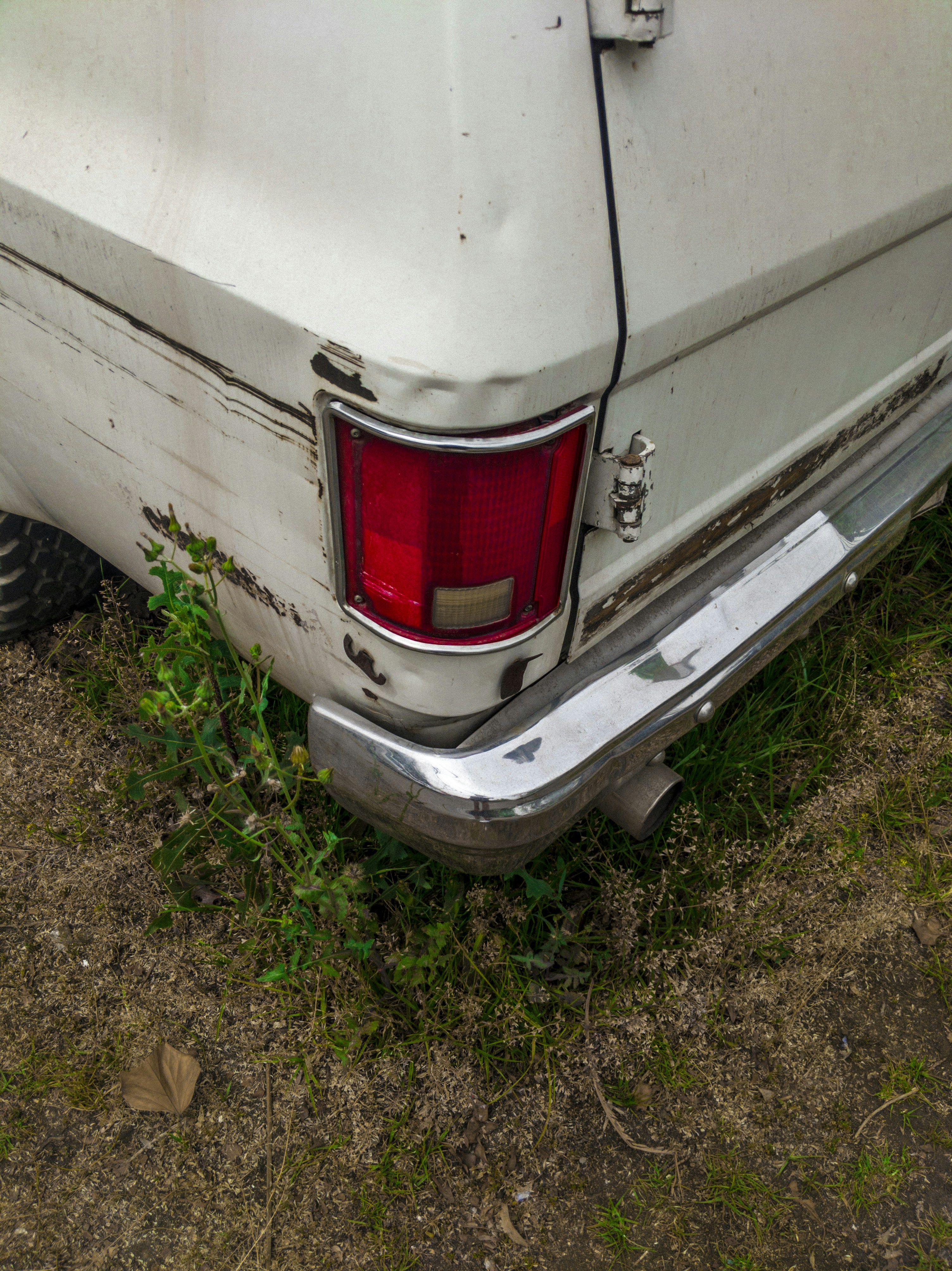 Patina at the Back: A Red Taillight Among Rust and Weeds