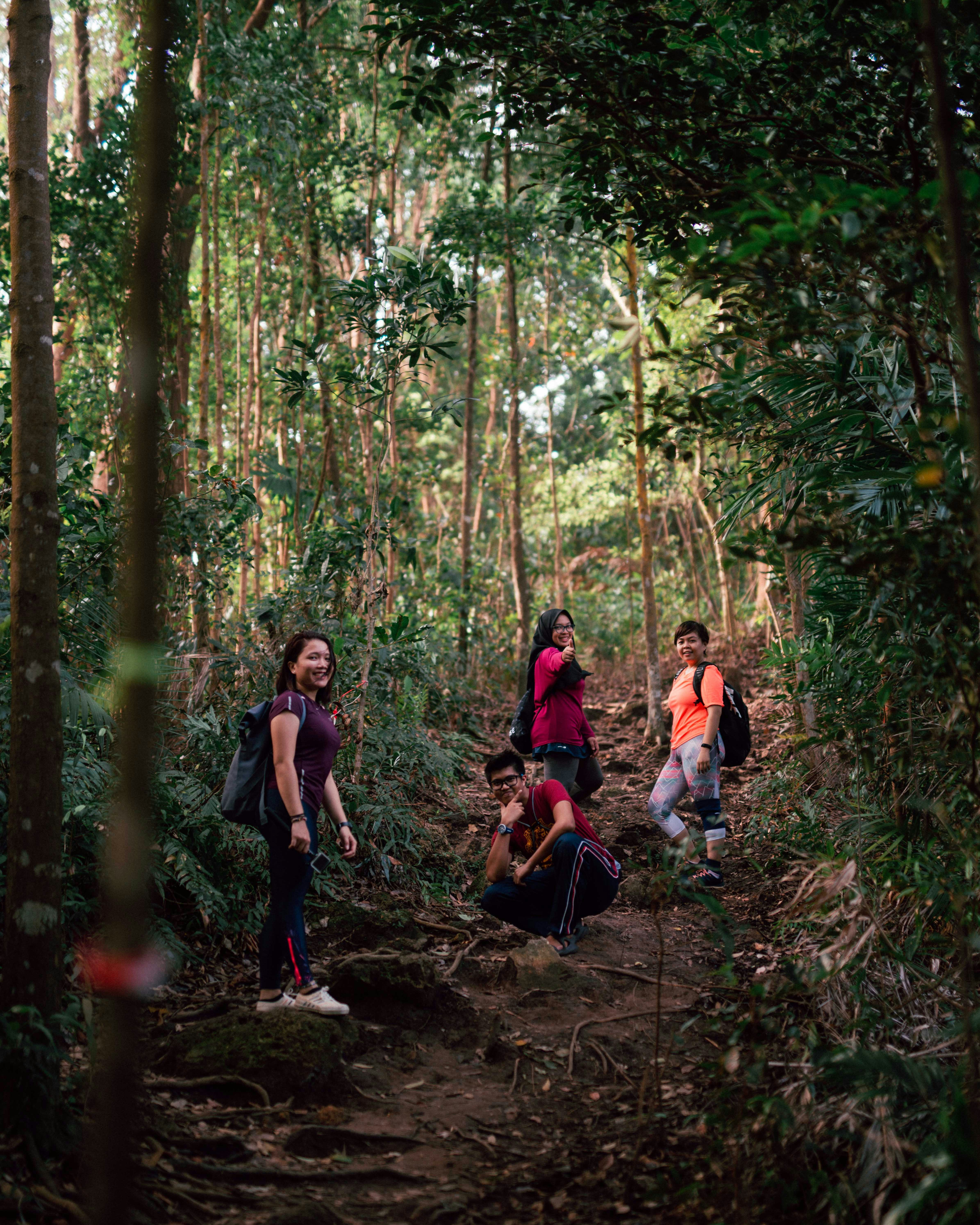 Group of hikers enjoying a moment on a forest trail surrounded by tall trees and vibrant foliage.