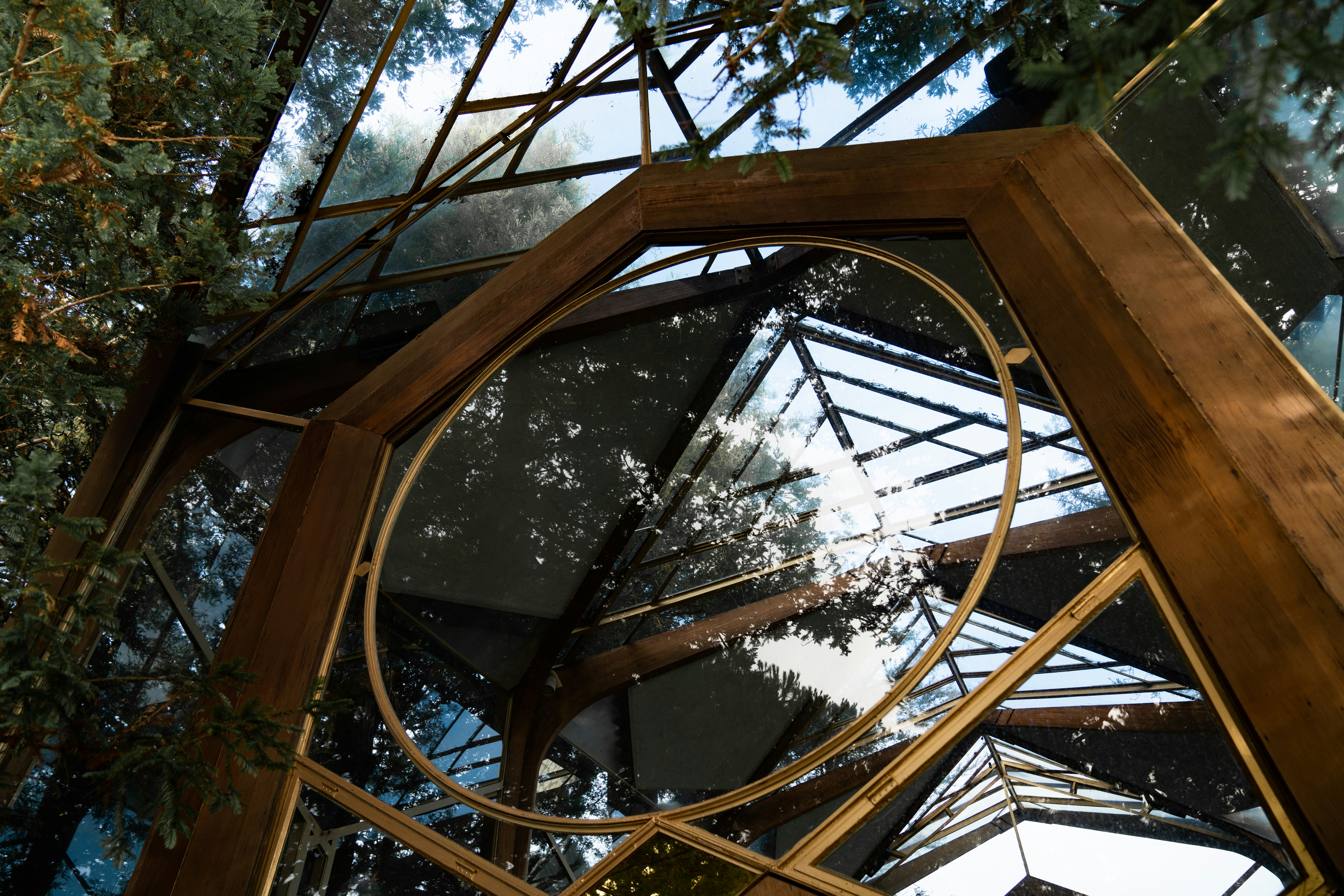 Modern architectural structure with geometric glass panels surrounded by lush trees.