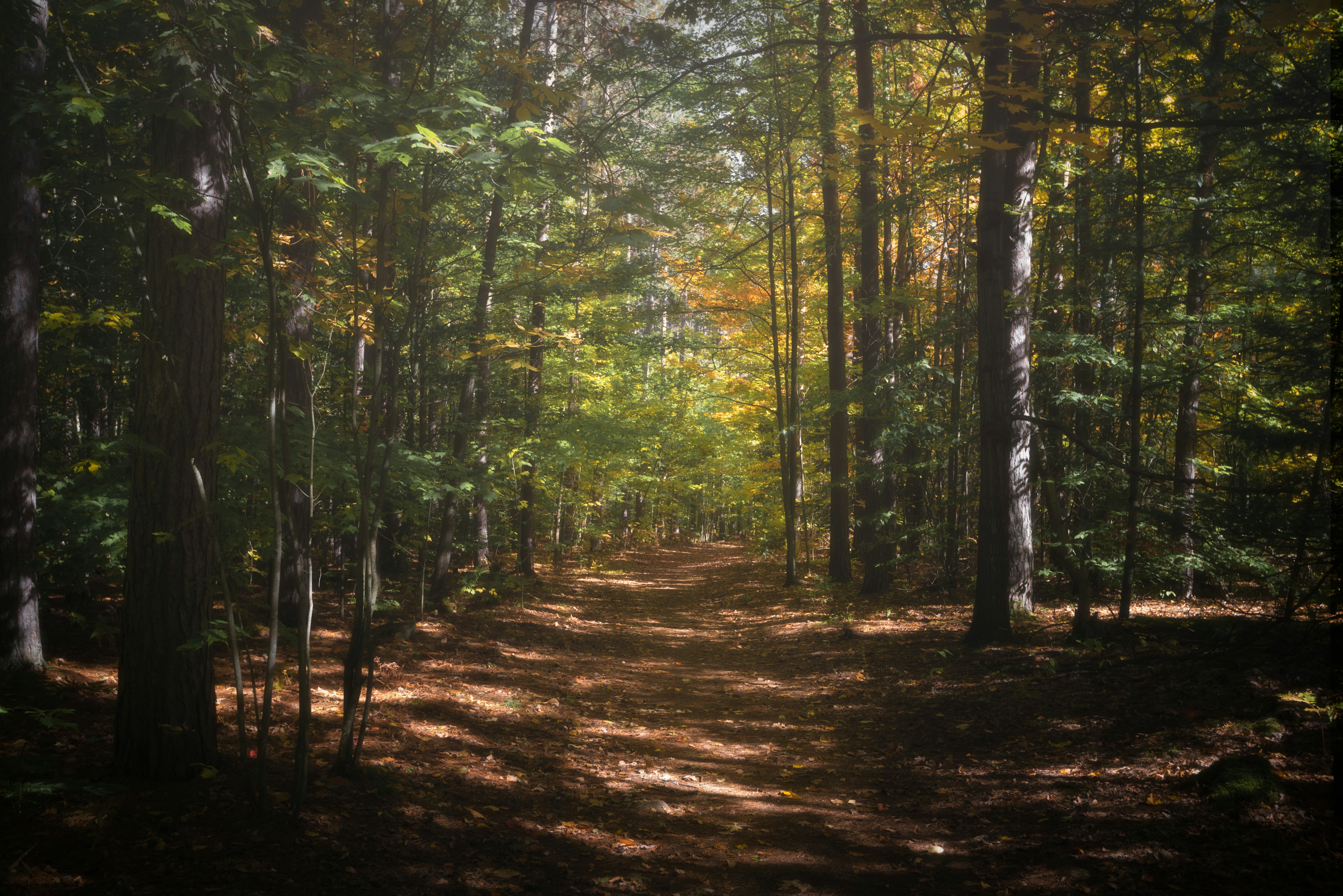 Ryan Filice (@ryguy) | Komunitas Foto Unsplash