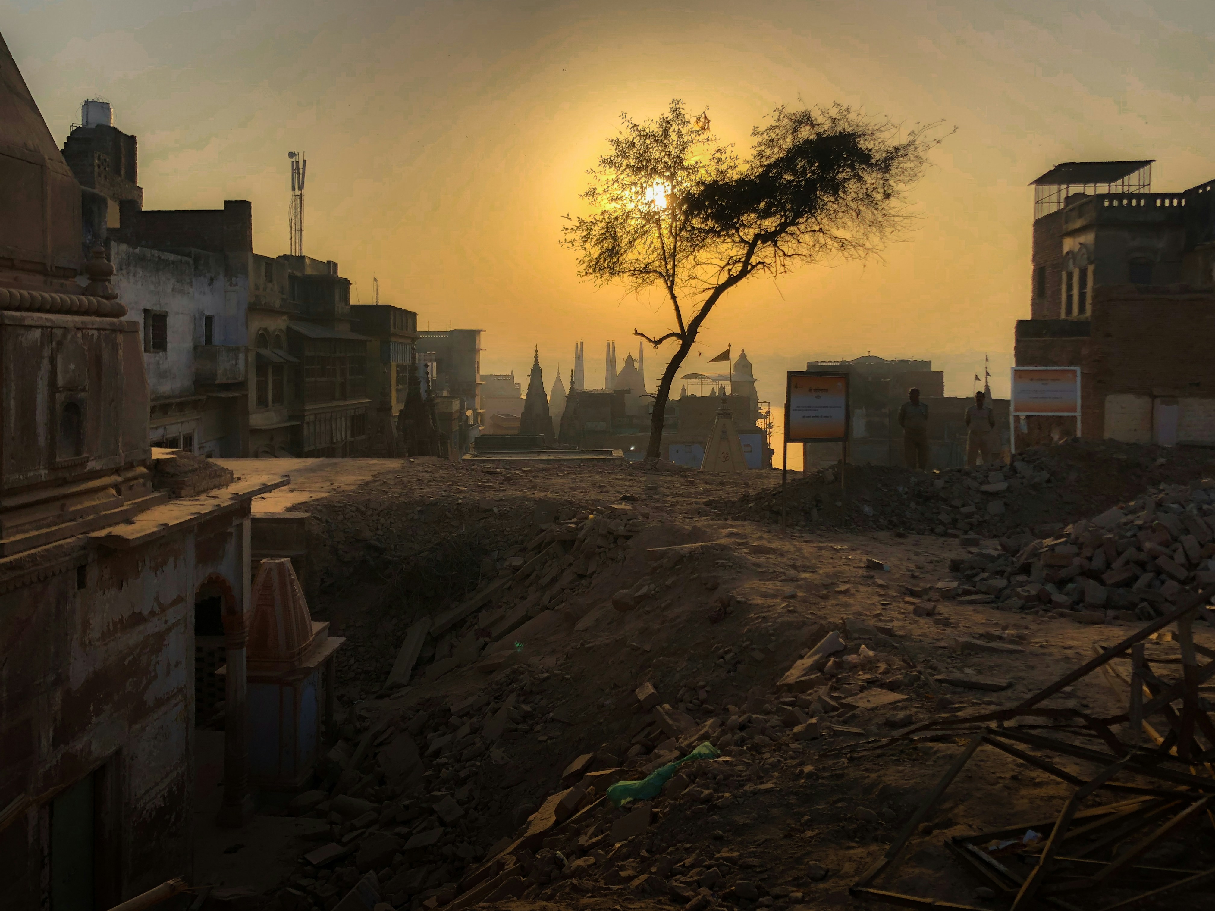 Silhouetted tree against the rising sun on the Ganges River in Varanasi, with ancient buildings in the background.