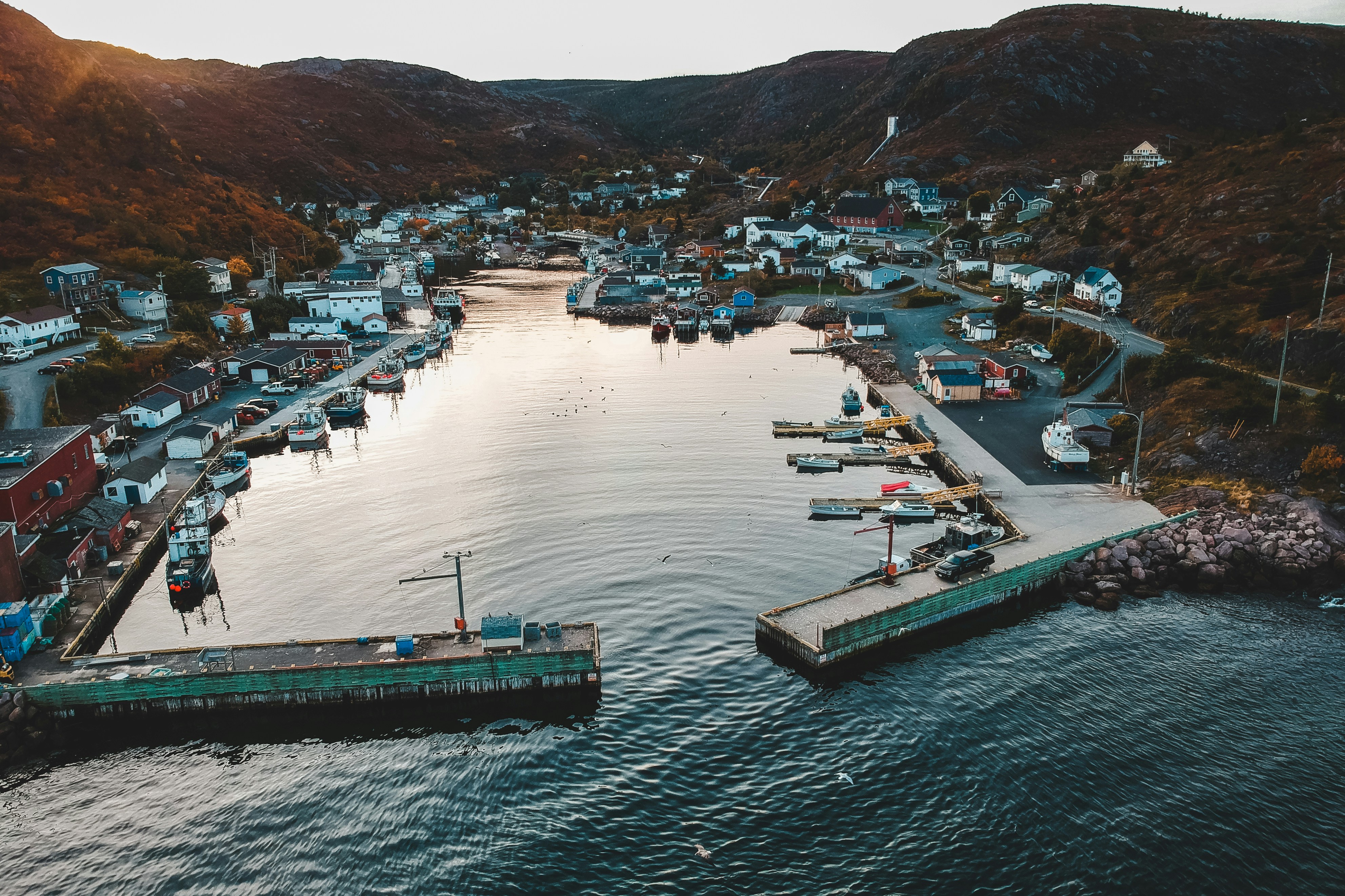 An aerial view of a harbor with boats and houses photo – Free Grey ...