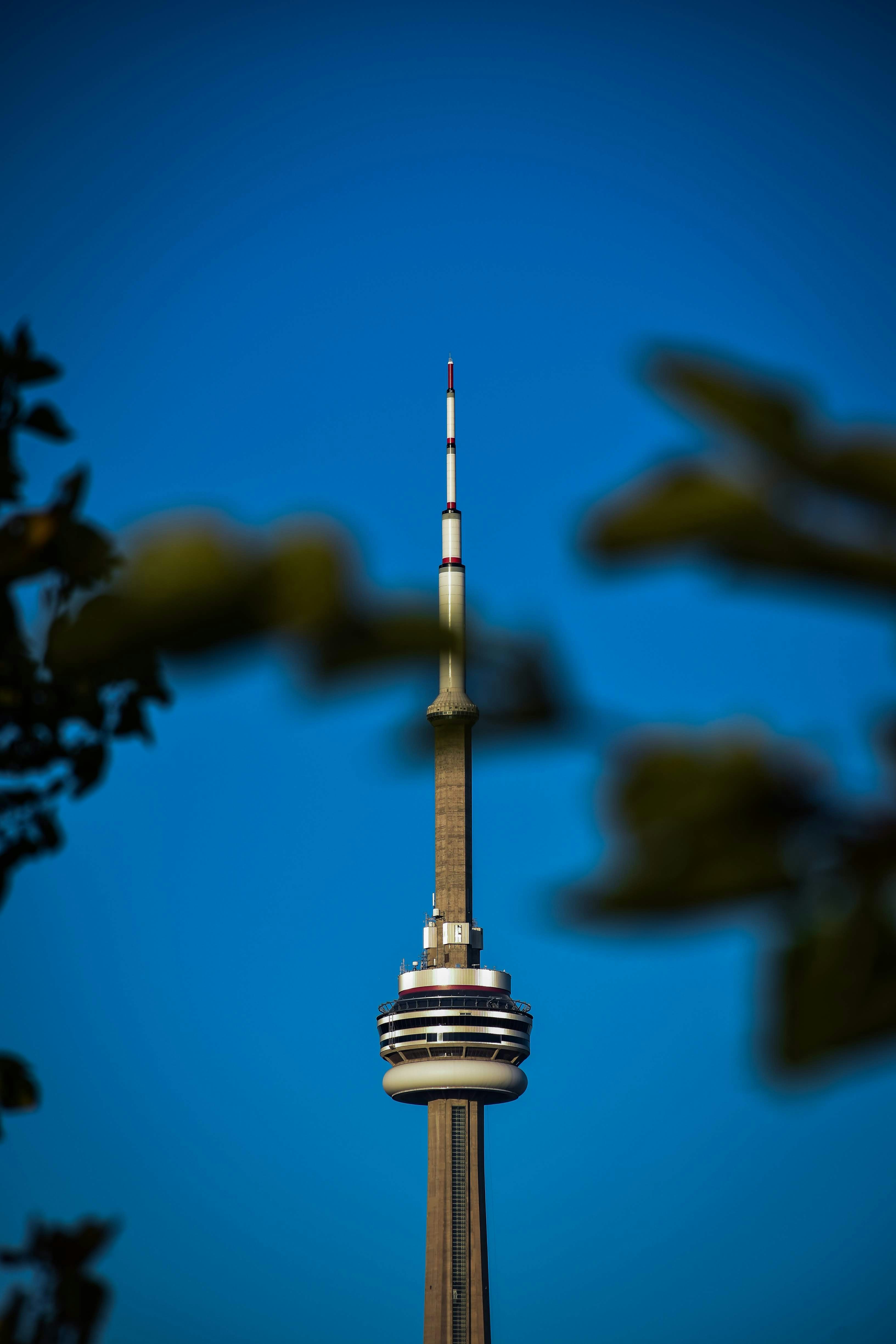 Skyward Needle: CN Tower Rising Through a Blur of Leaves