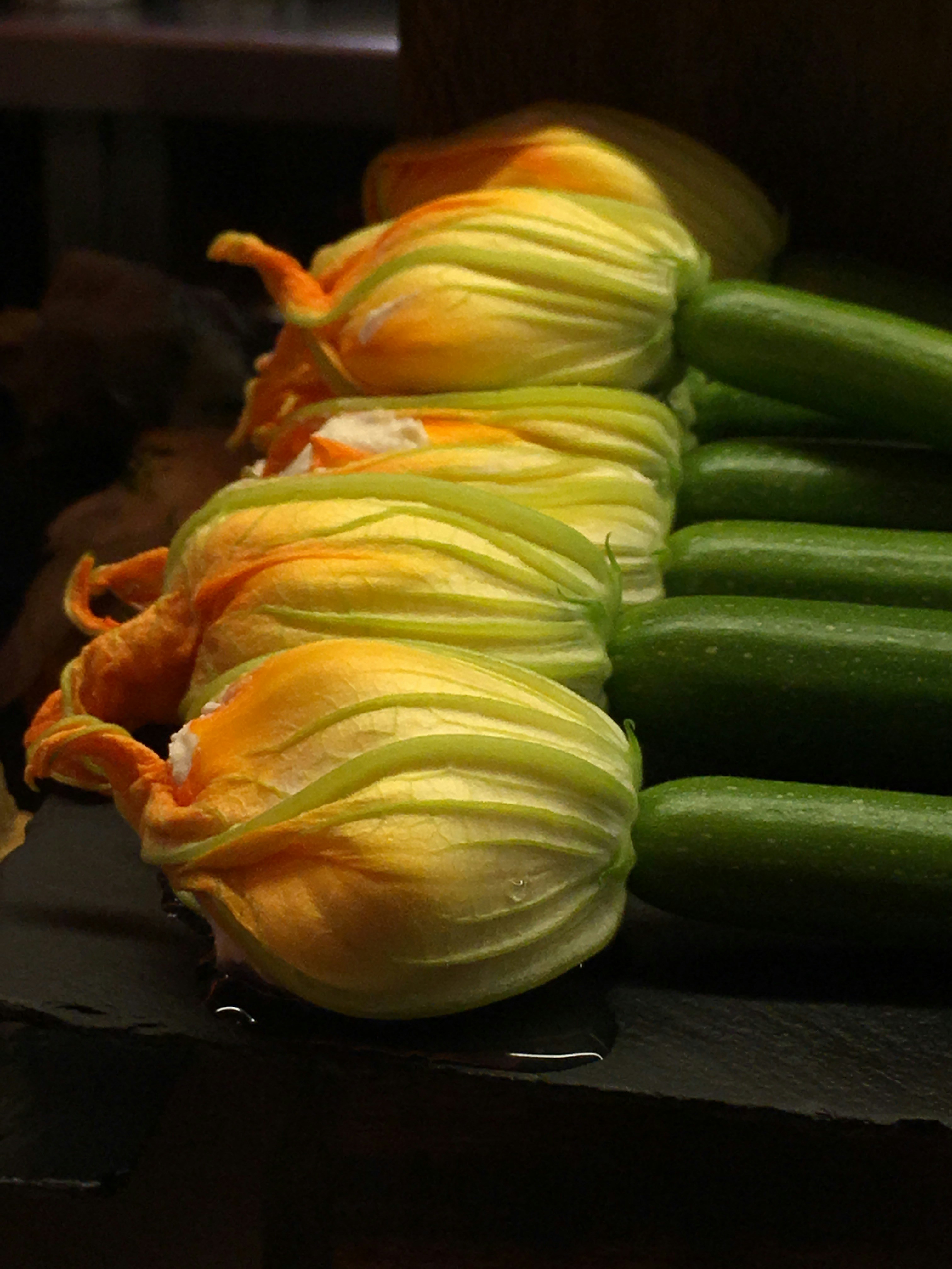 Golden-orange Dragonfruit-like Cobs: a row of curved blooms beside fresh cucumbers