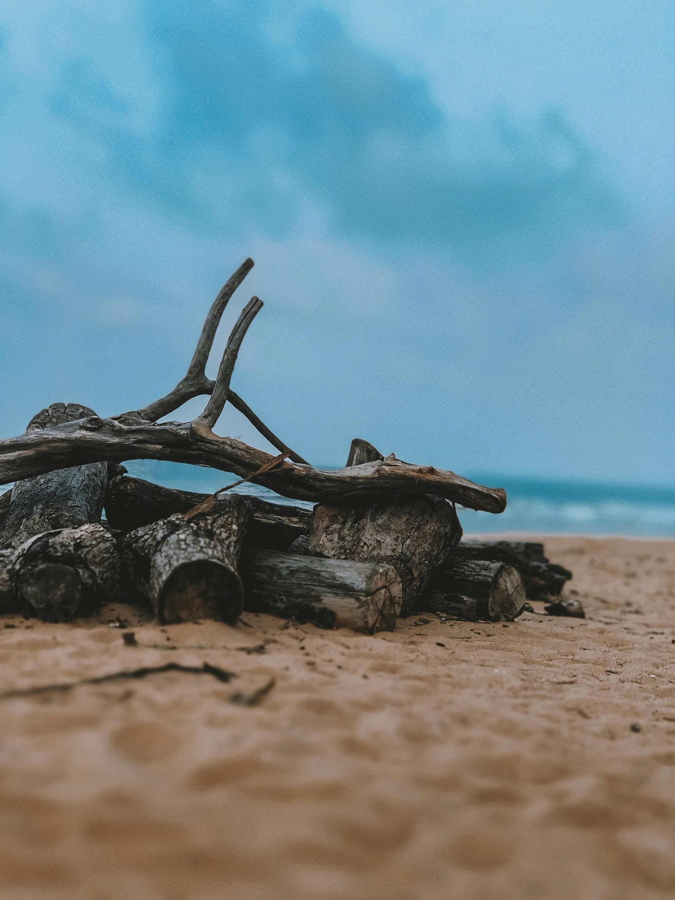 Driftwood on the Shoreline: A Quiet Stack Against the Sky