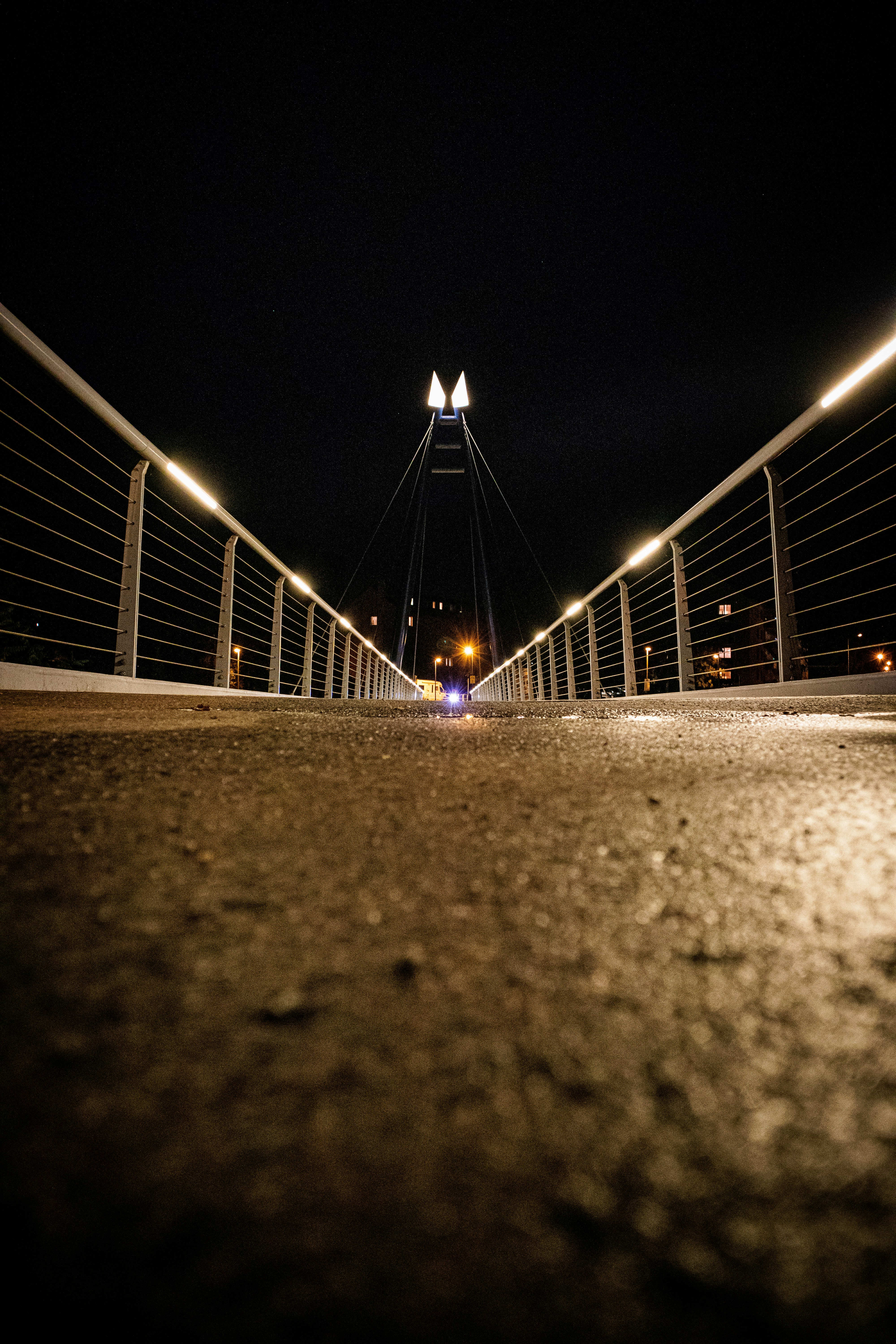 Illuminated Pathway Under the Night Sky