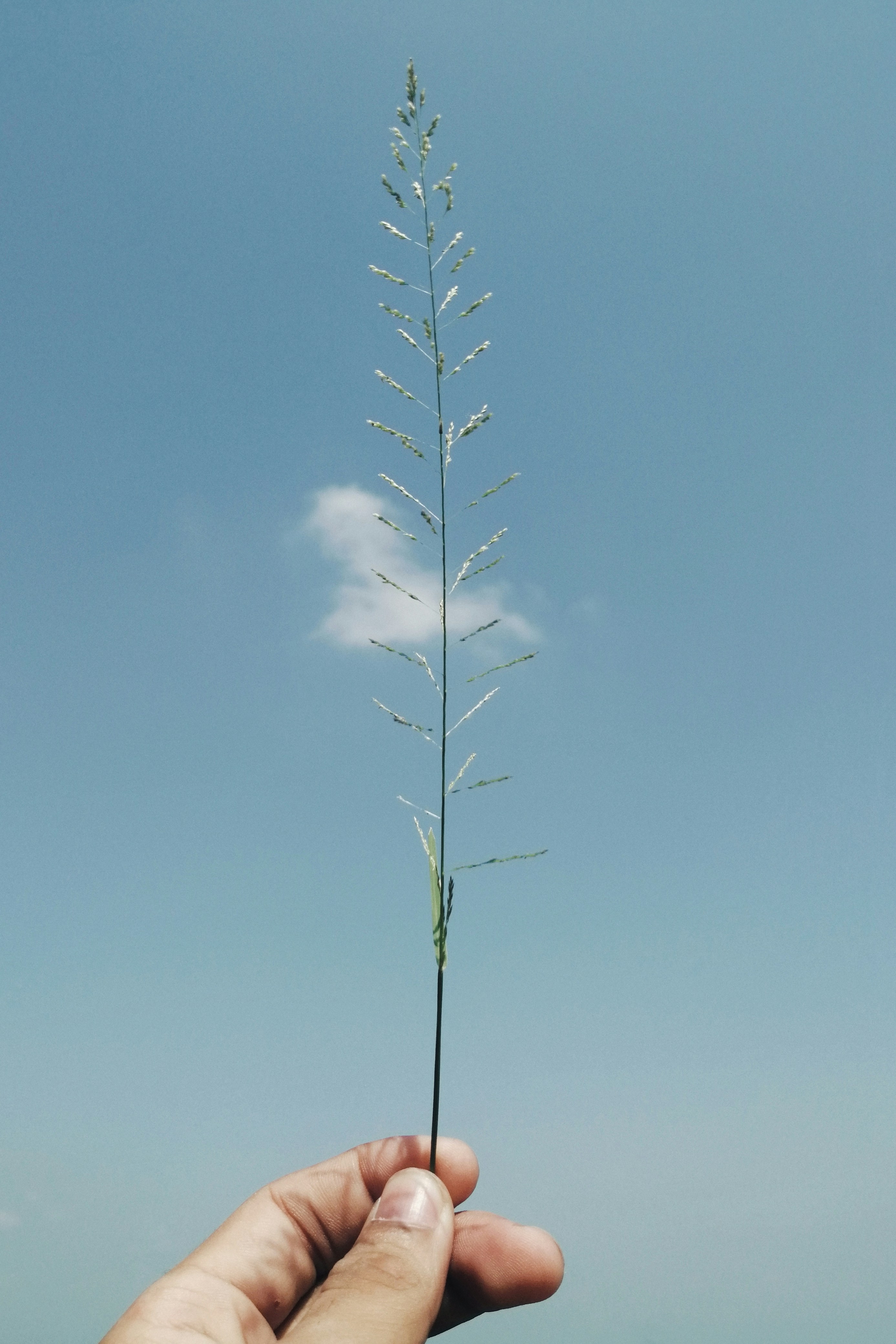 Sample photo from Honor 10 Lite