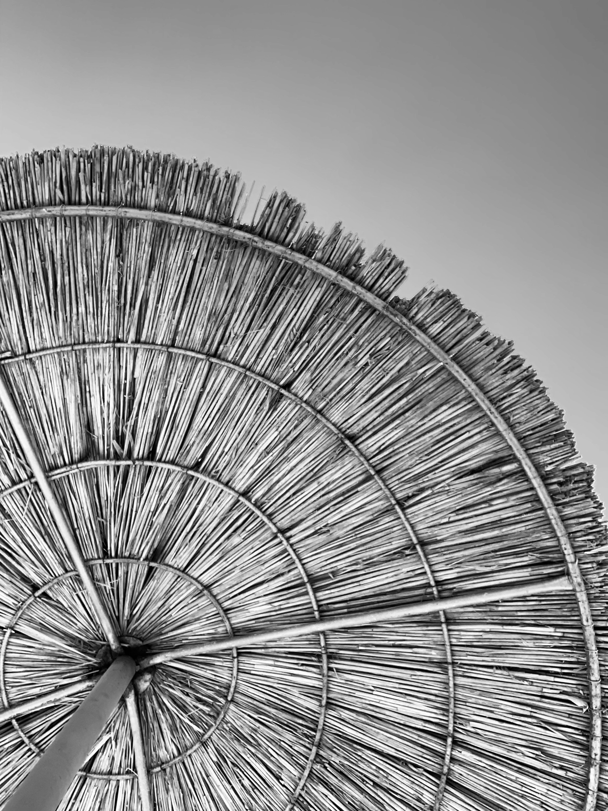 Radial Weave: A Monochrome Study of a Straw Umbrella's Skeleton
