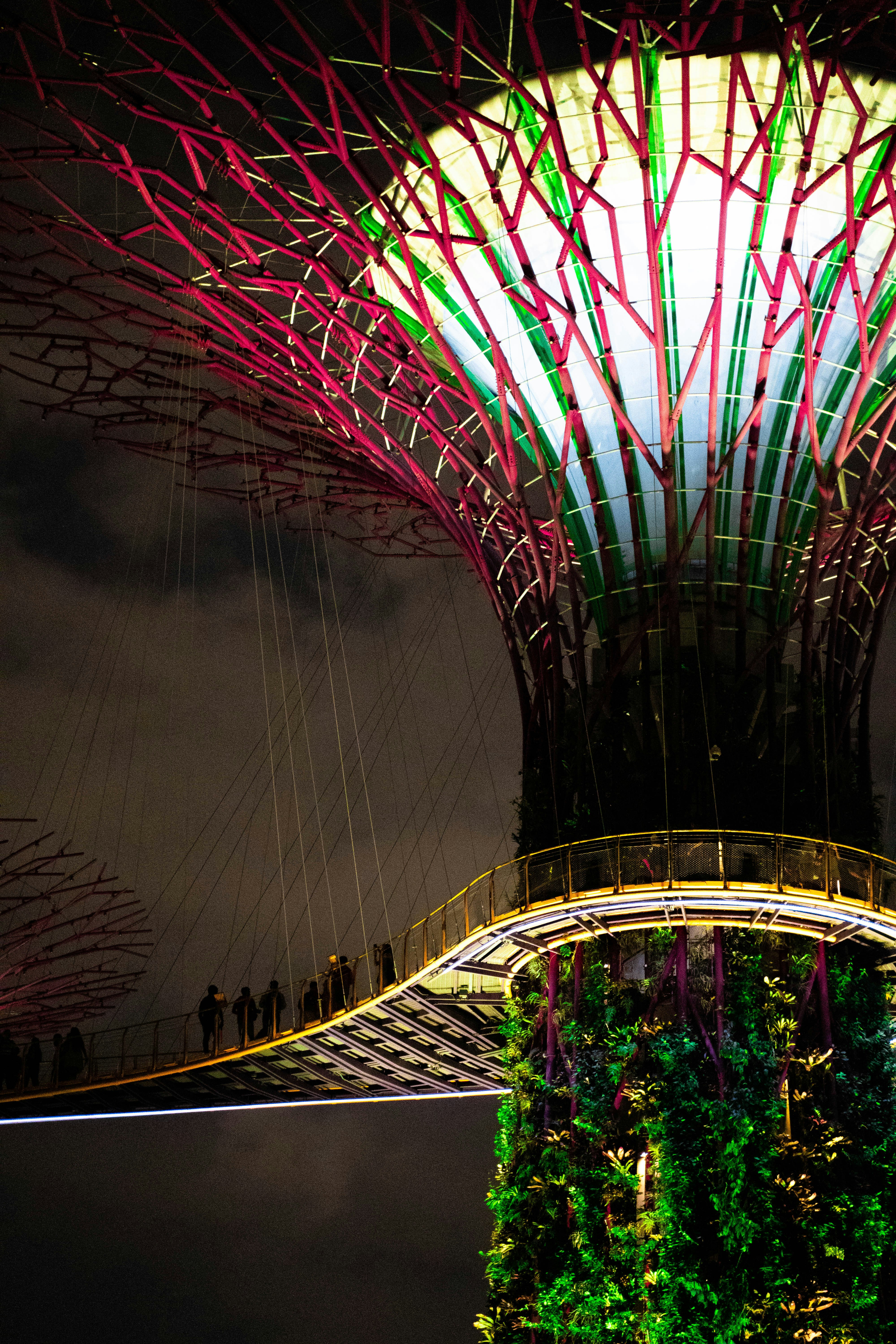 Vertical Lace at Night: Neon Supertree Skywalk