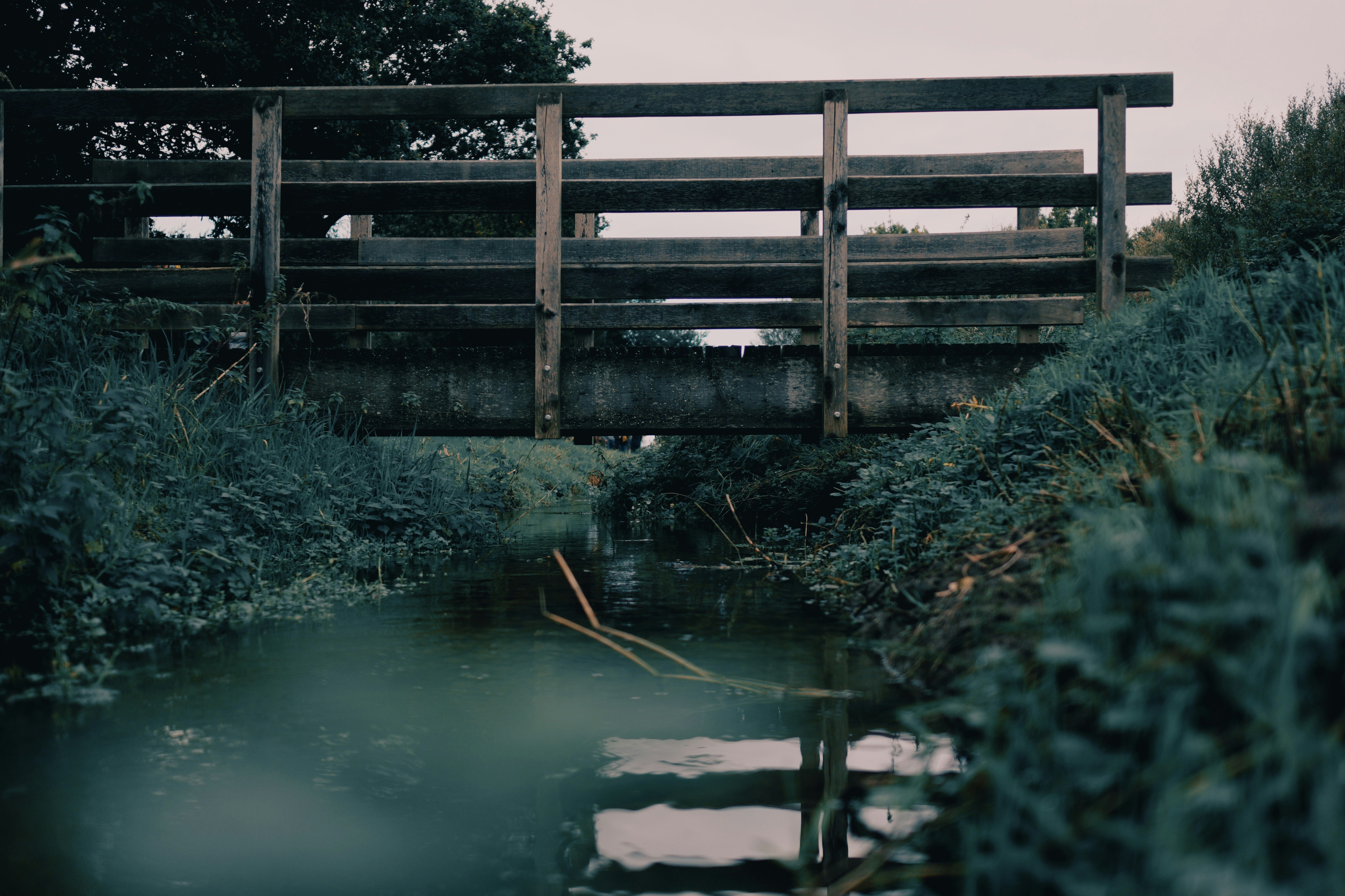 Bridge Over a Quiet Canal: Mossy Rails and Reflections