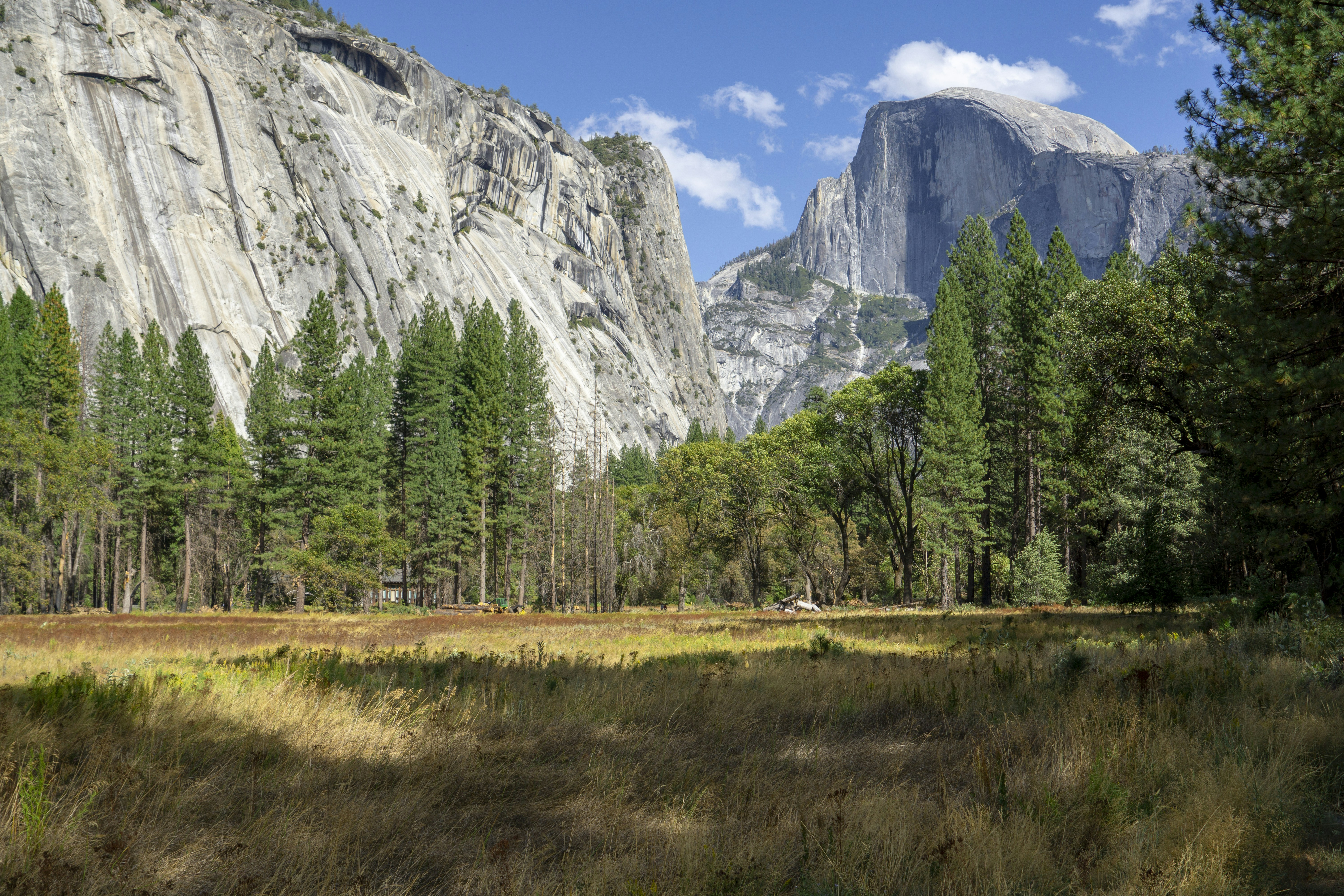 Field by treeline and mountain during daytime photo – Free Yosemite ...