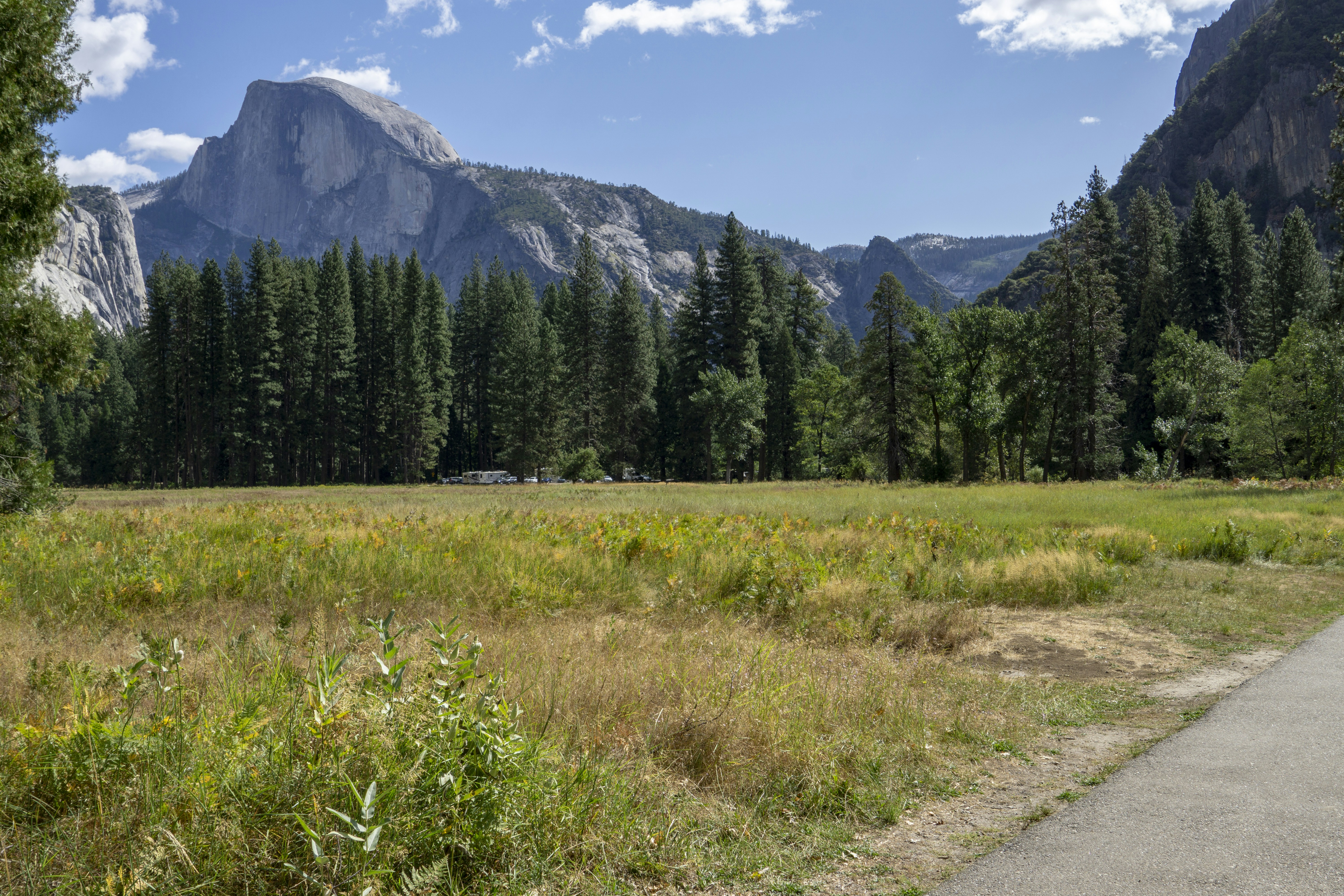 Green field by treeline and mountains during daytime photo – Free Ca ...