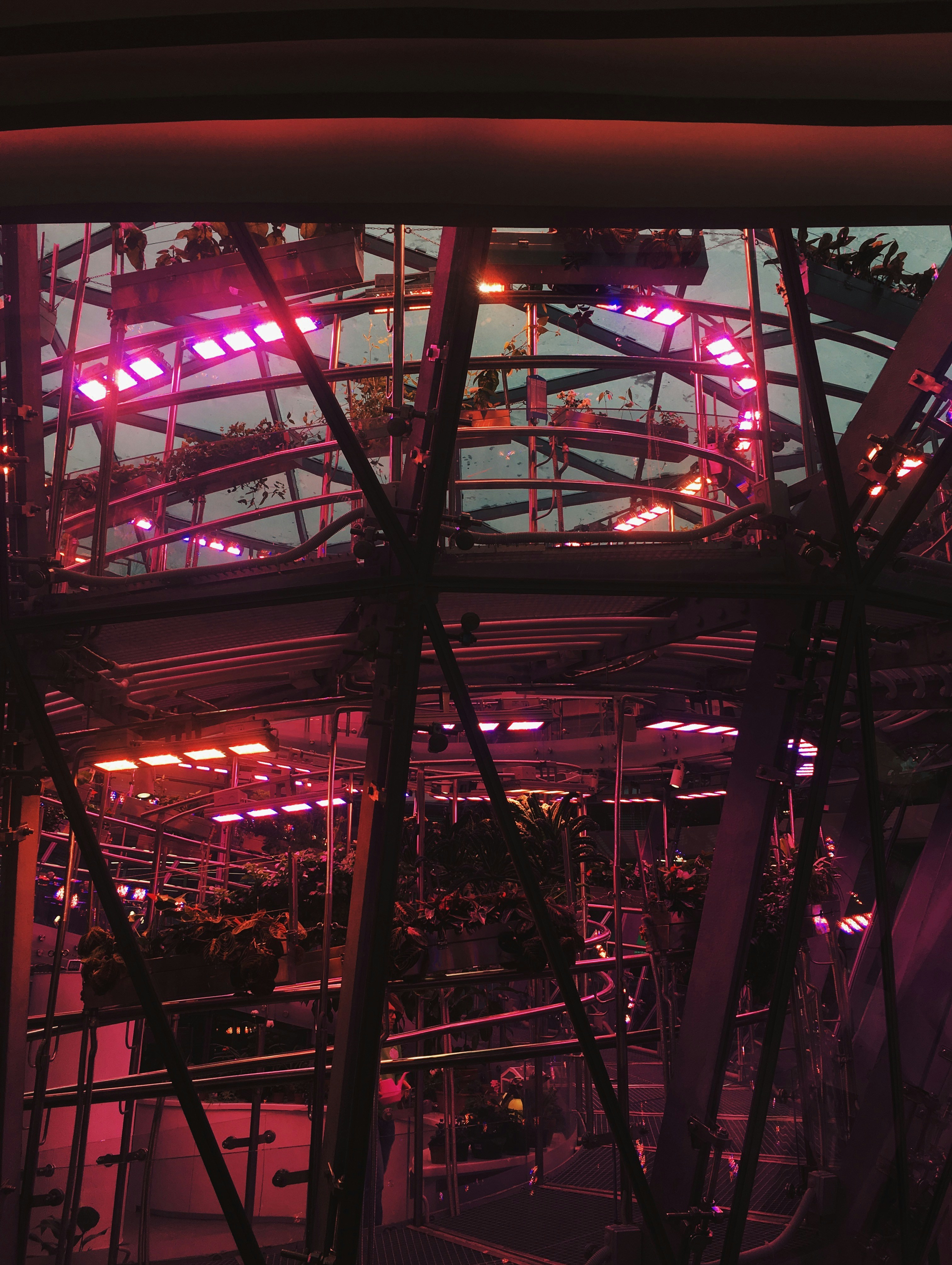 Illuminated Botanical Haven