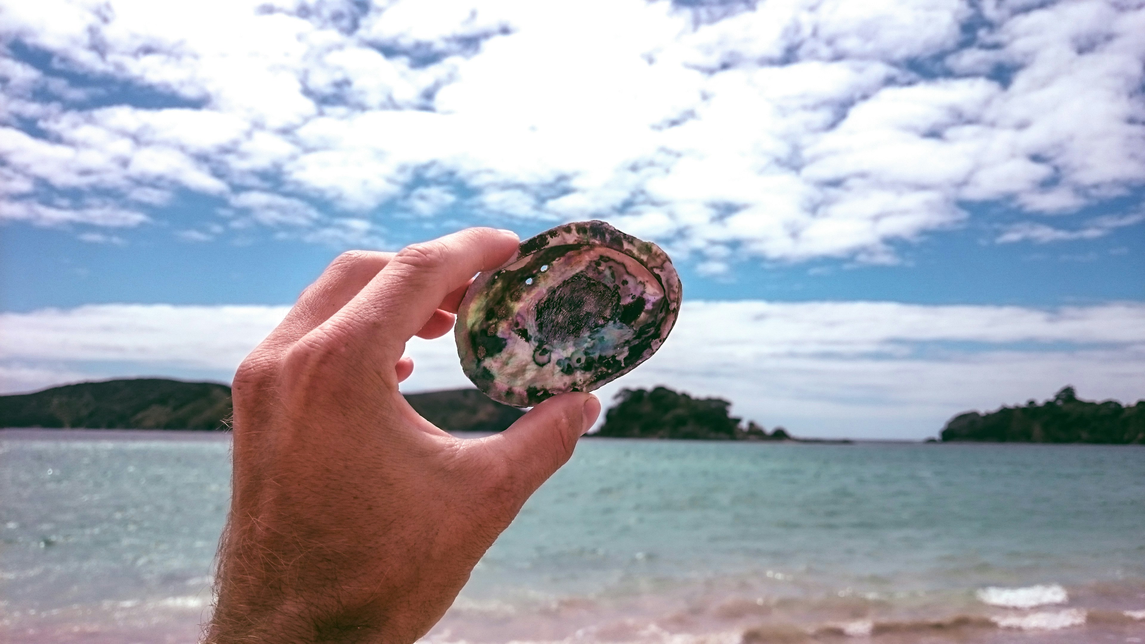 Glimmering Oyster Pierced by Sky, Hand Grasping a Coastal Pearl